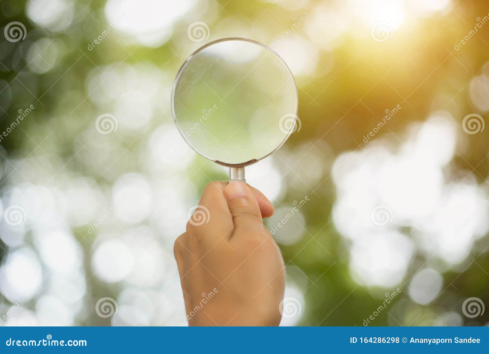 Magnifying Glass for Reading and Discovering the Small Things Stock ...