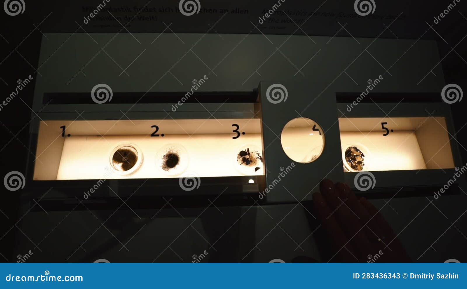 Magnifying Glass Using at Numbered Fossil Specimens Under Glass Stock ...