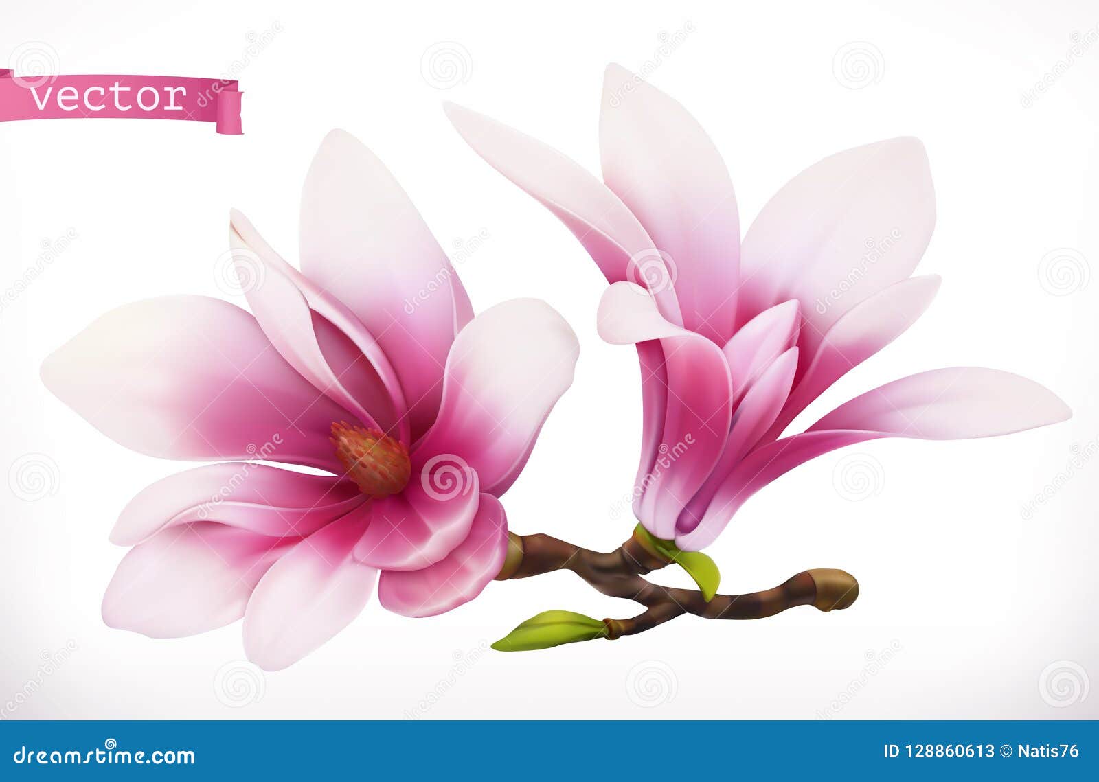 Magnolia. 3d Realistic Vector Icon Stock Vector - Illustration of ...