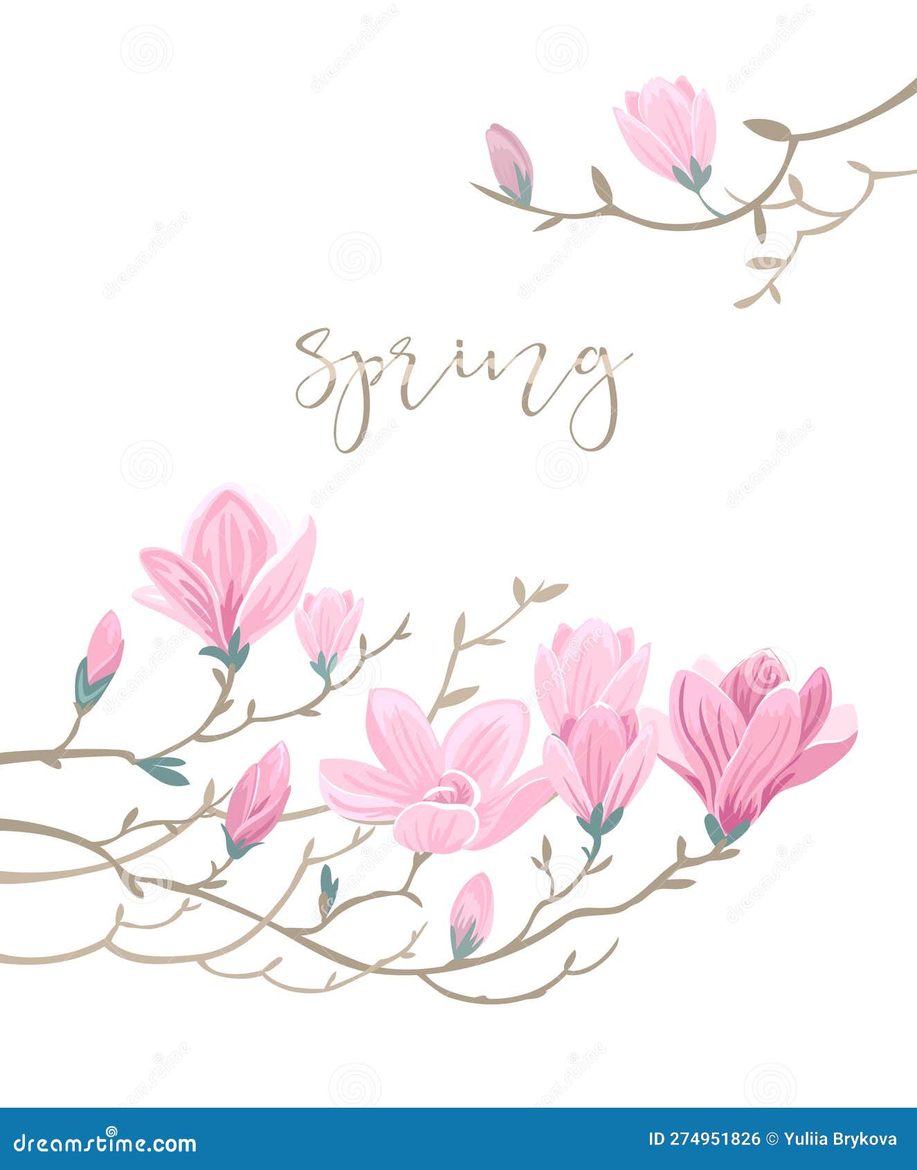 Magnolia flower stock vector. Illustration of background - 274951826