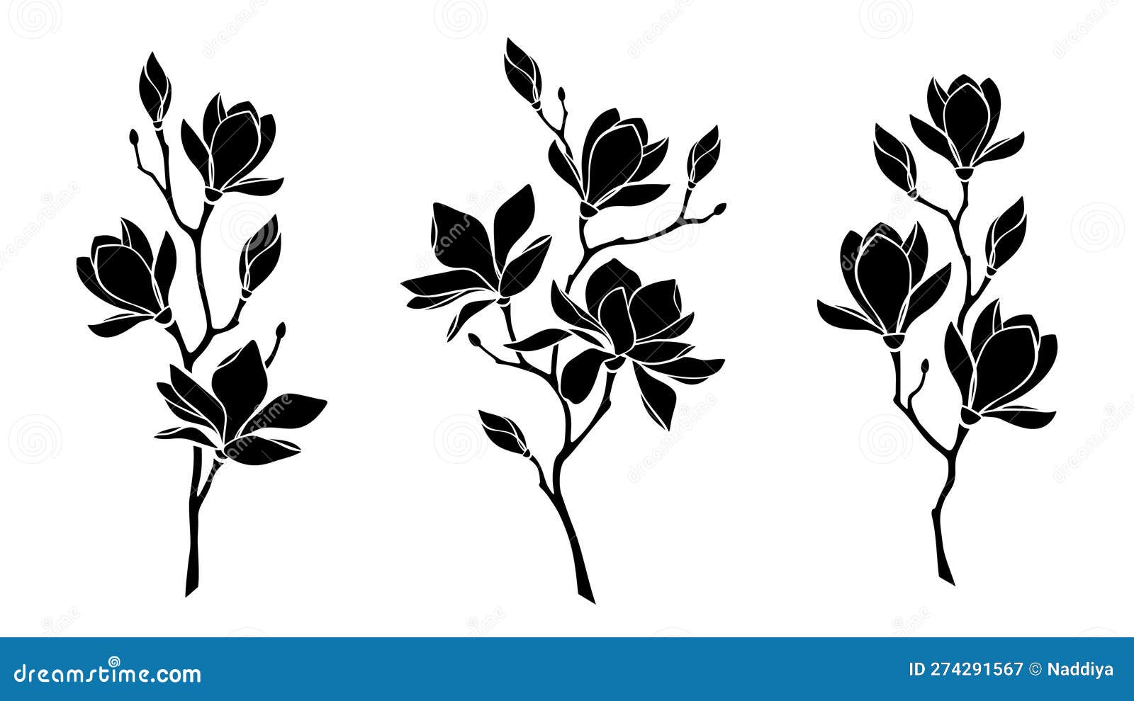 Magnolia Flowers. Vector Black Silhouettes Stock Vector - Illustration ...