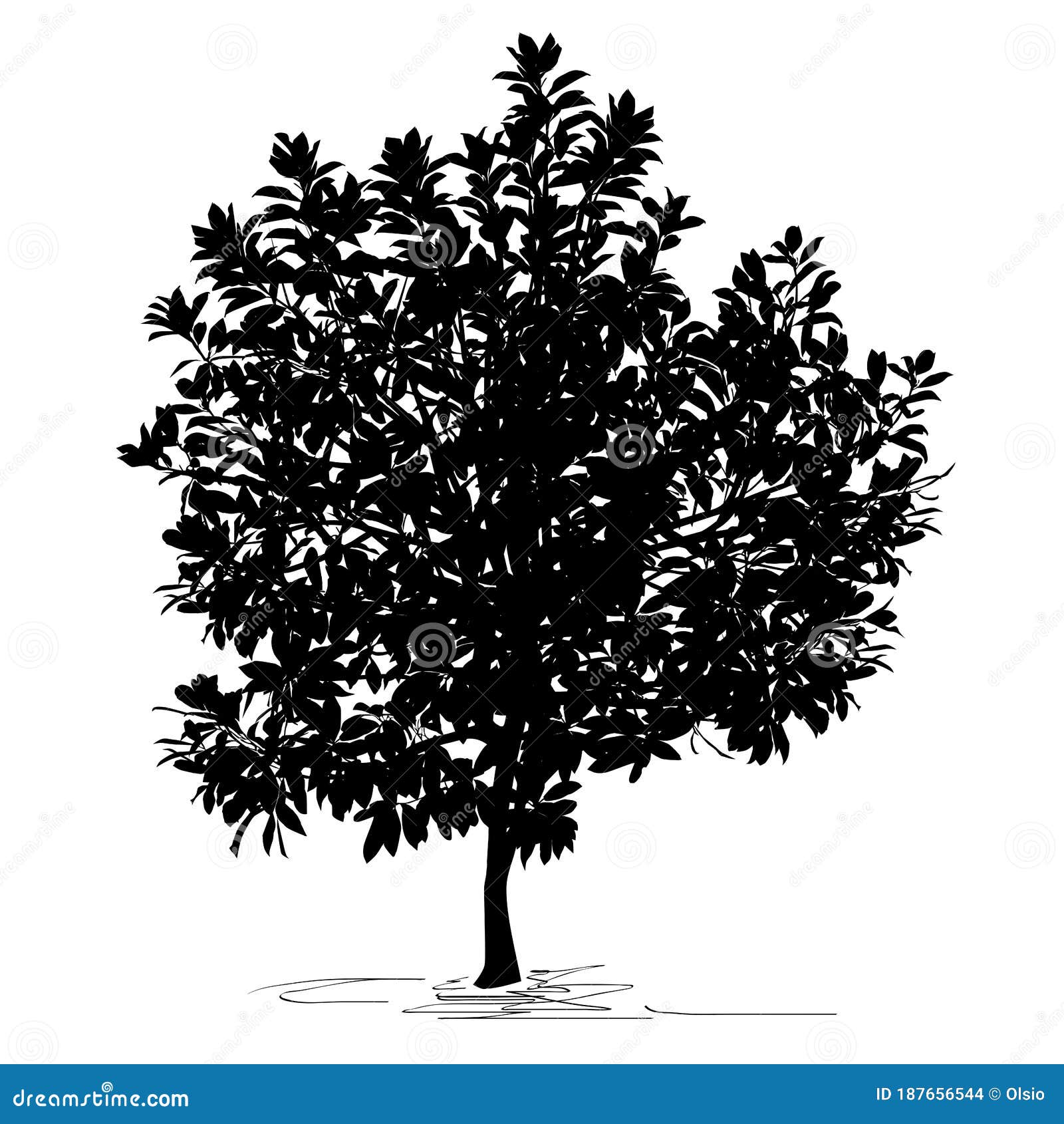 Magnolia Tree Magnolia Grandiflora L. Silhouette Stock Vector ...