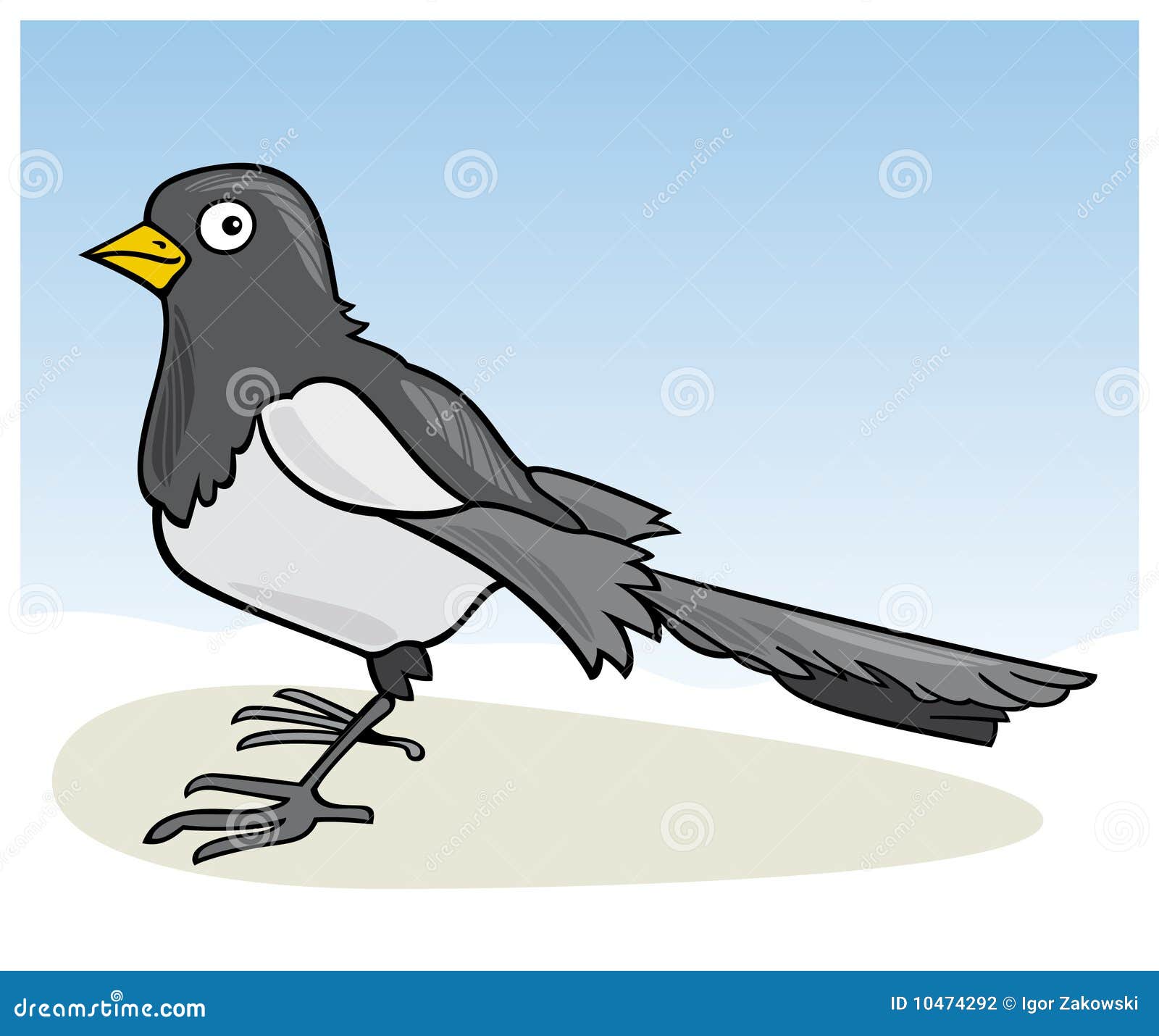 Magpie stock vector. Illustration of funny, vector, graphic - 10474292