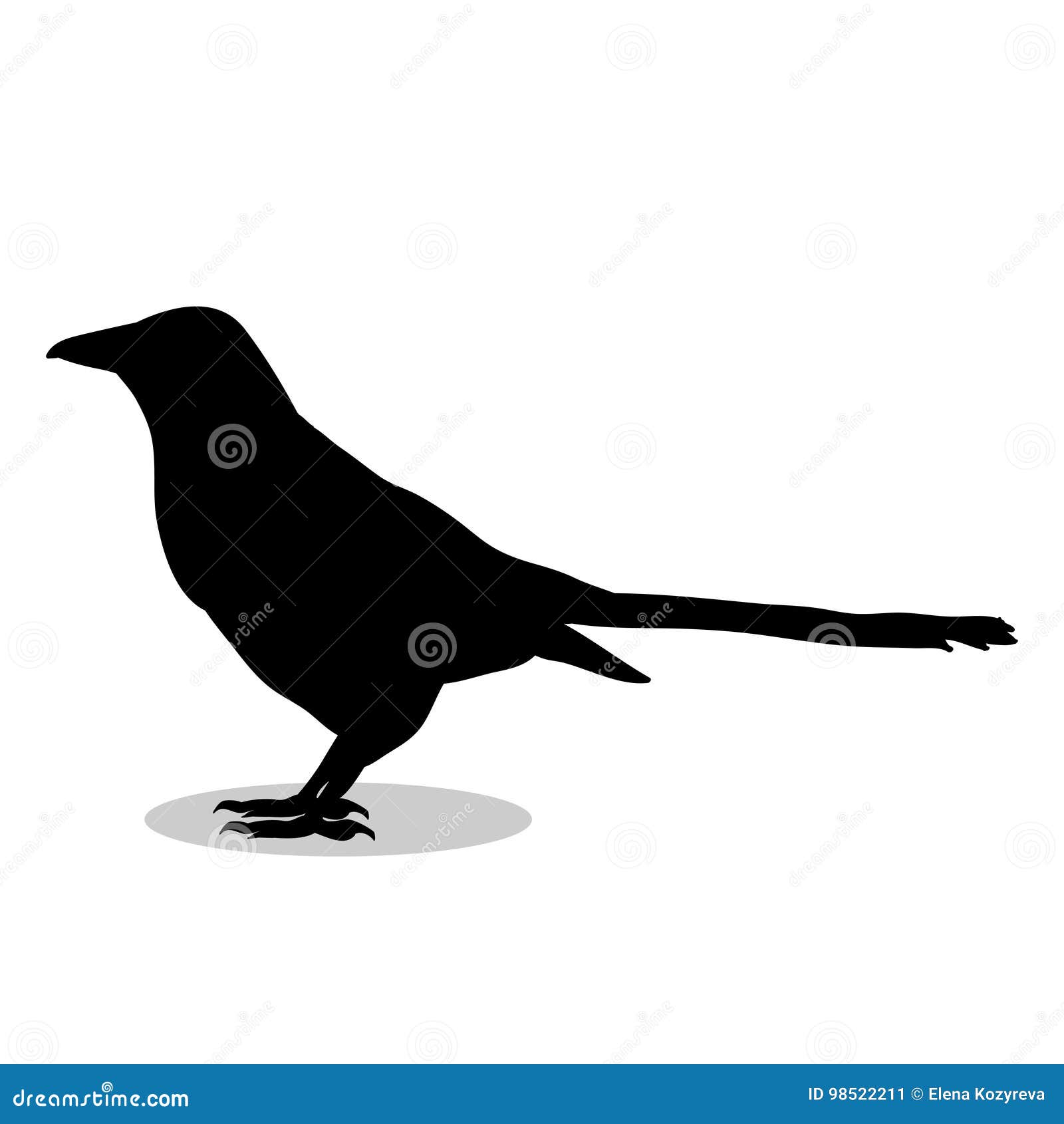 Magpie Bird Black Silhouette Animal Stock Vector - Illustration of ...