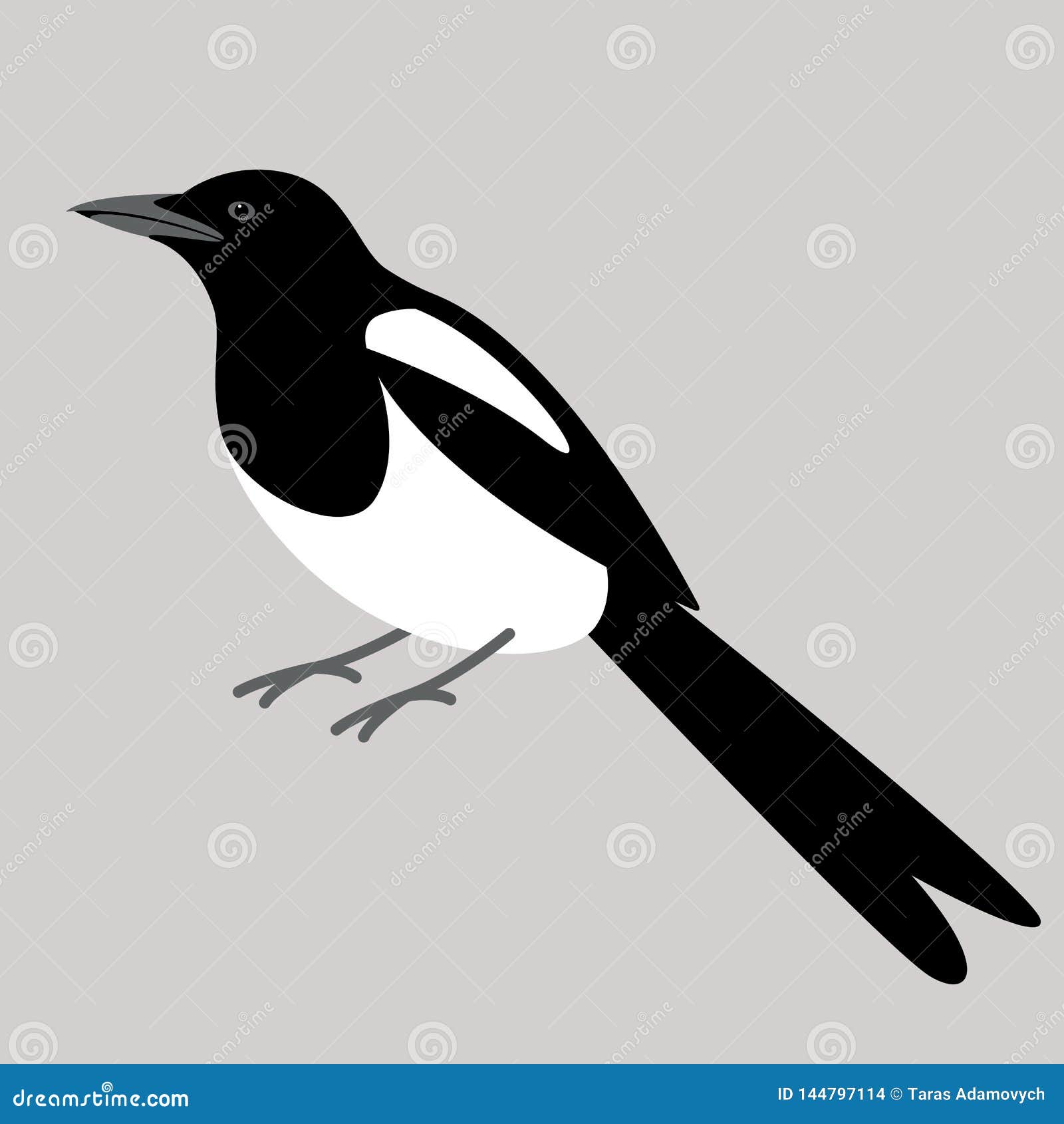 Magpie Bird, Vector Illustration, Flat Style Stock Vector ...