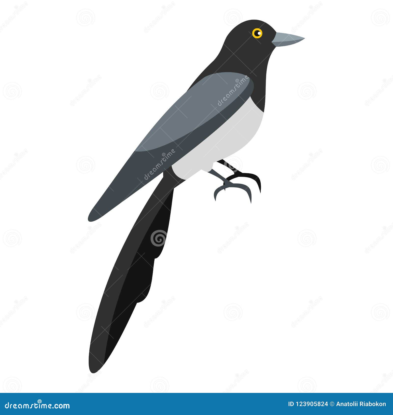Magpie icon, flat style stock illustration. Illustration of isolated ...