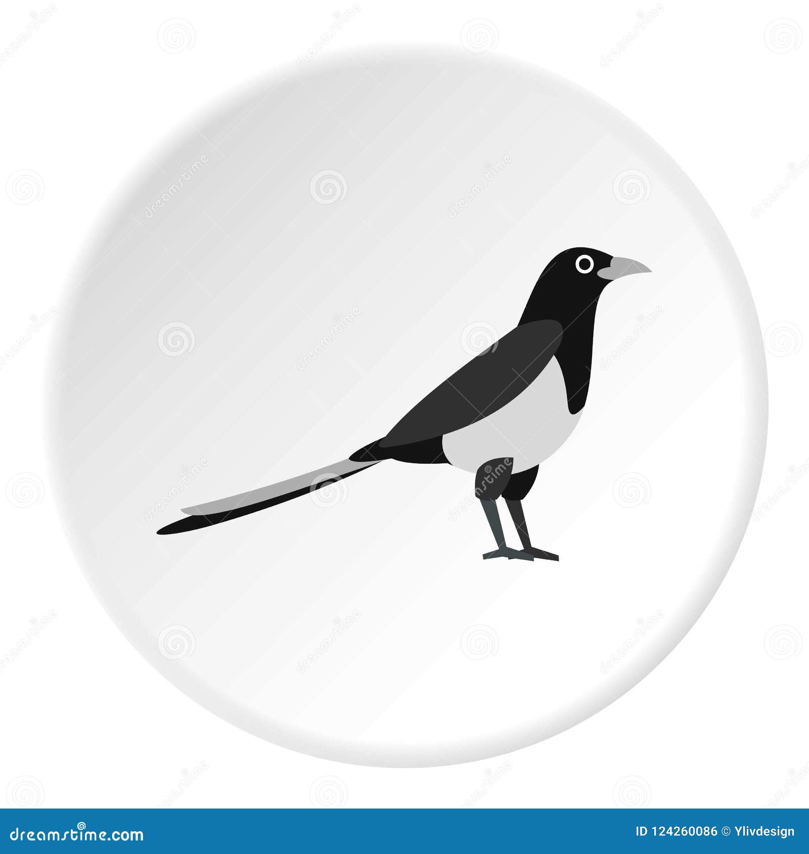 Magpie icon, flat style stock illustration. Illustration of ornithology ...