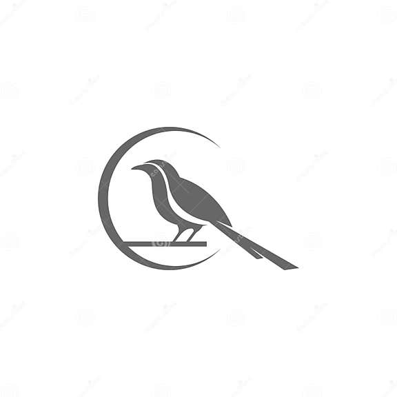 Magpie Logo Icon Illustration Design Stock Illustration - Illustration ...
