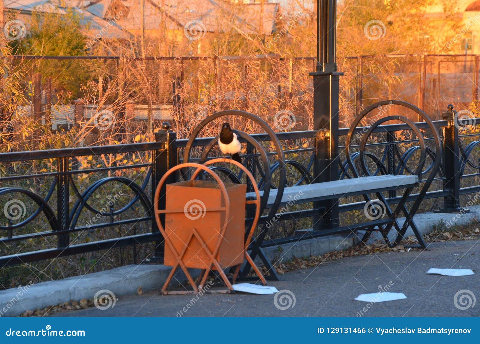 A magpie, urn and bench stock photo. Image of blue, junk - 129131466