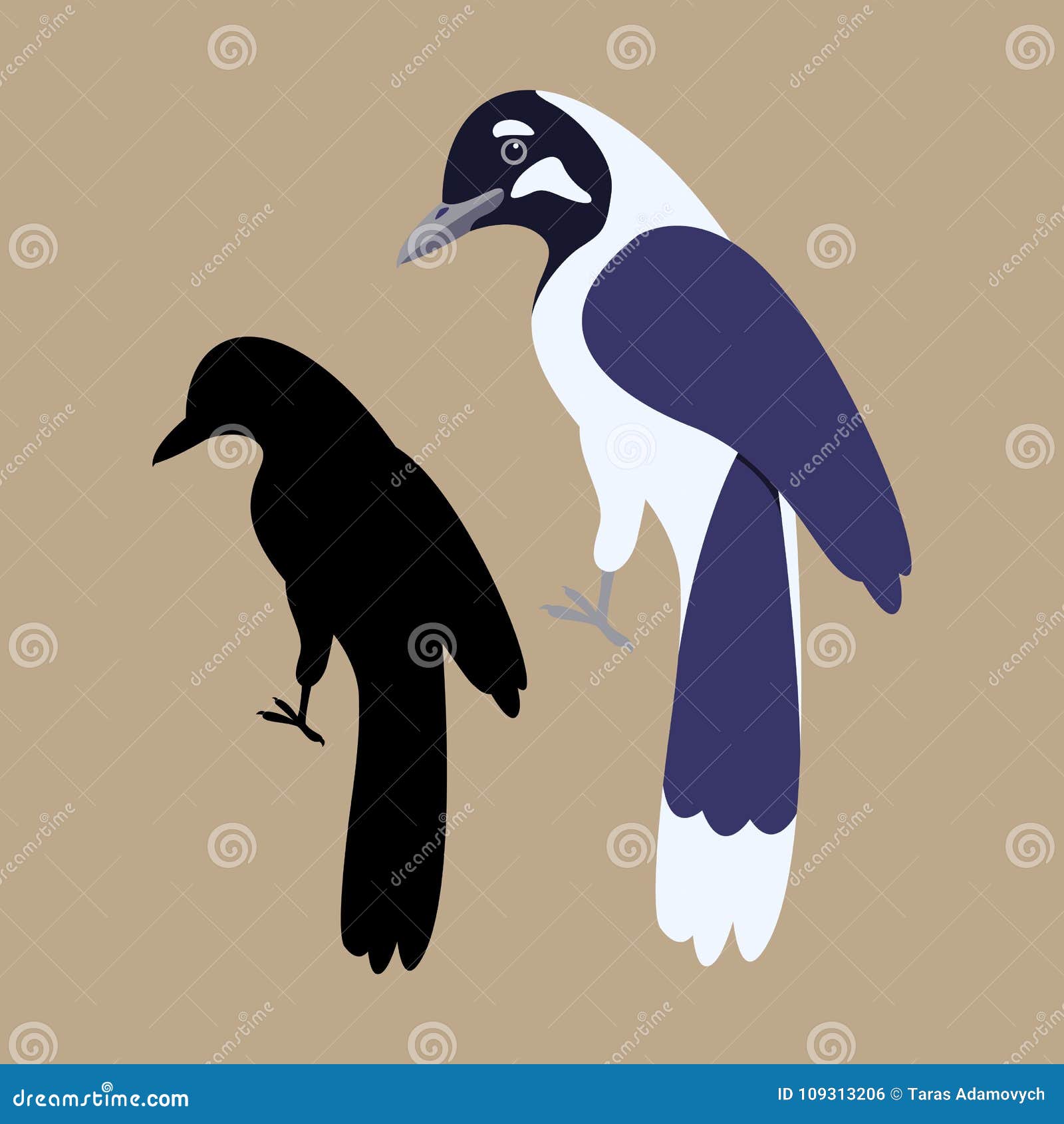 Magpie. Side View. Drawing With Black Lines, Marker, Line Art Cartoon ...