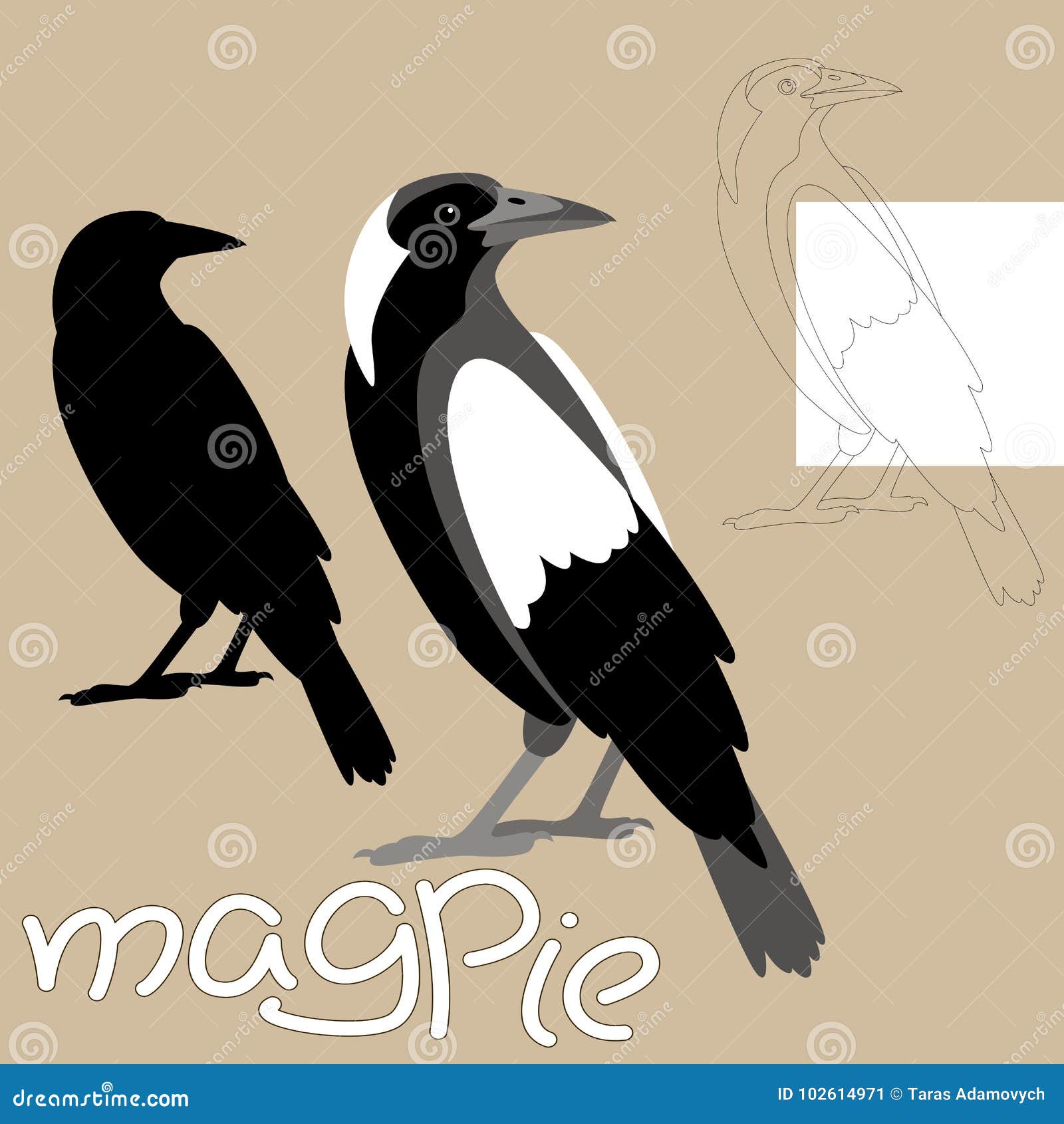 Magpie Vector Illustration Style Flat Black Silhouette Line Stock ...