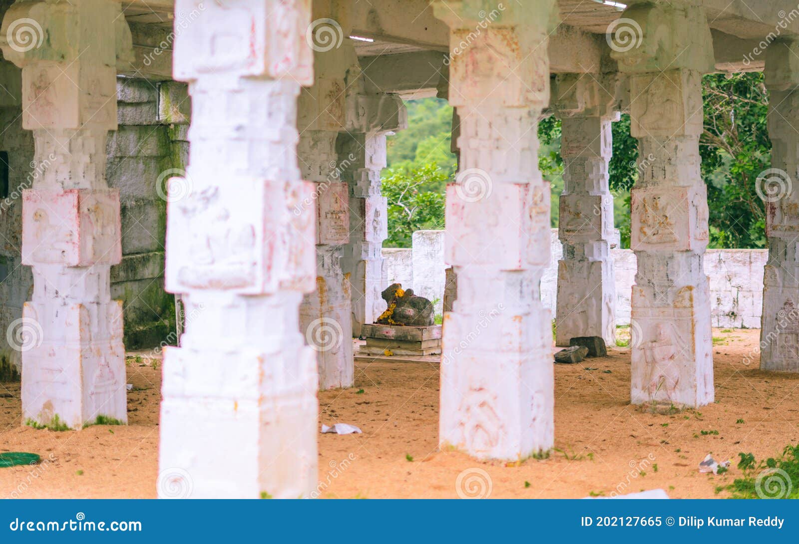 Maha Nandi in Front of Lord Shiva Temple Stock Image - Image of ...