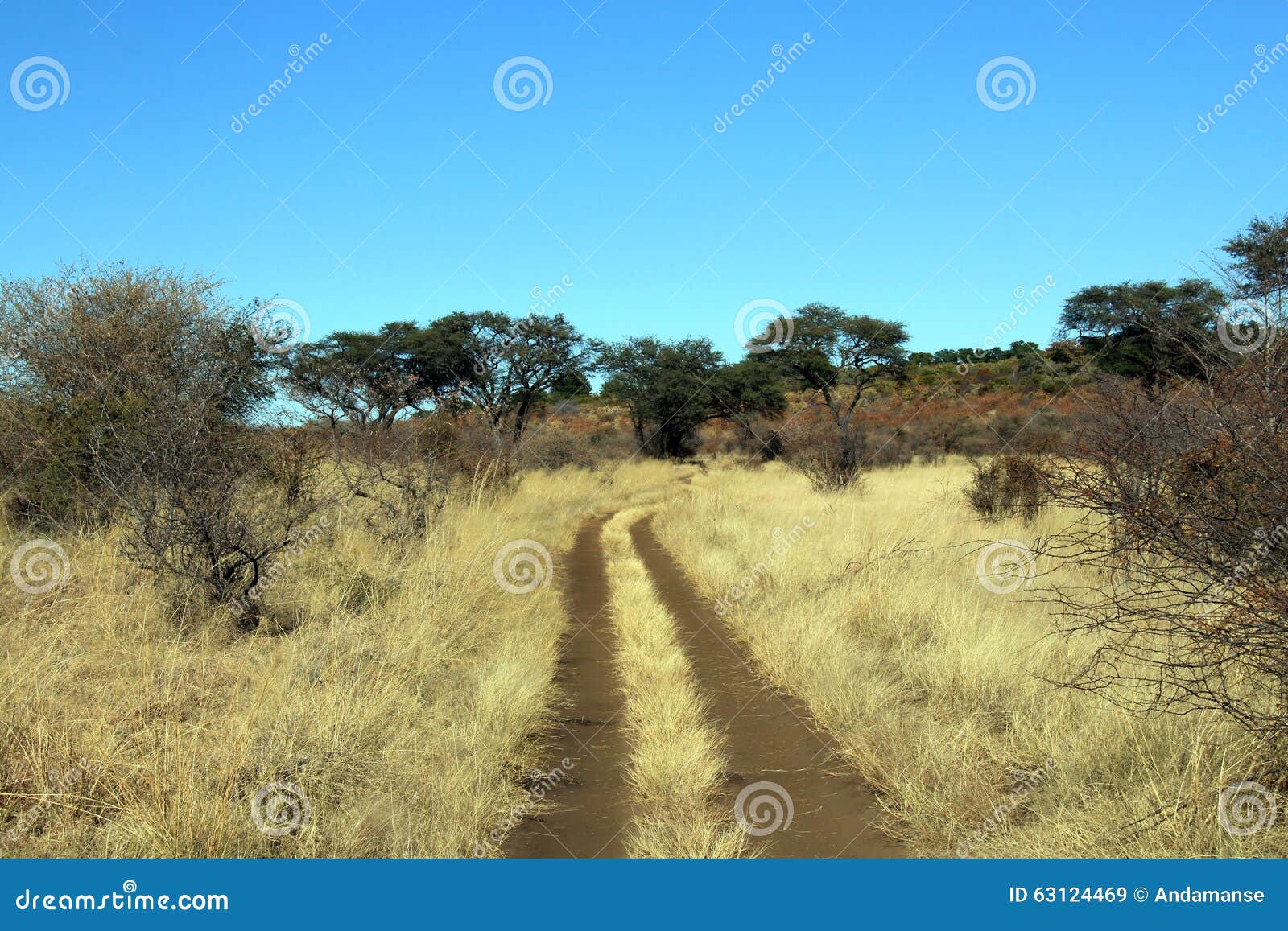 Mahangu National Park stock image. Image of tour, wilderness - 63124469
