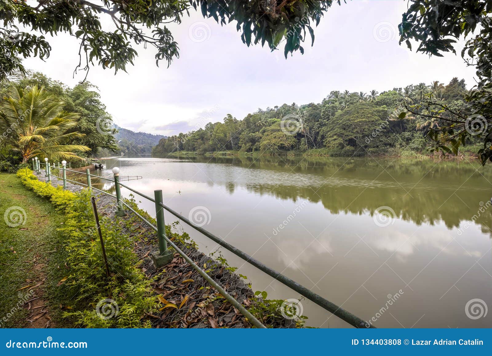 Mahaweli River, Sri Lanka stock photo. Image of beautiful - 134403808