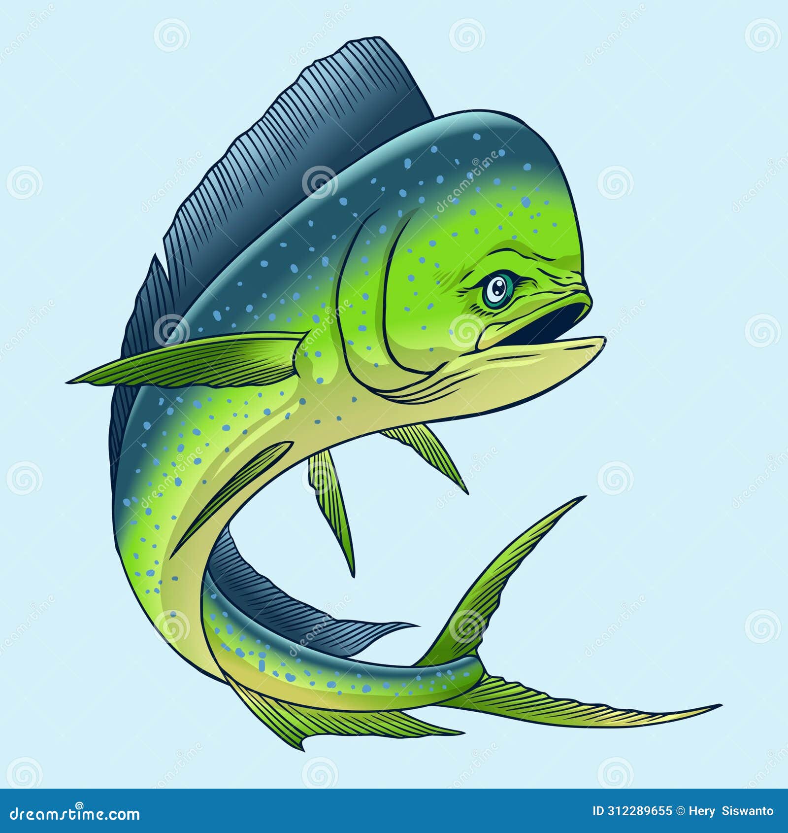 Mahi-Mahi Or Dorado Fish Hand Drawn Realistic Illustration Isolated ...