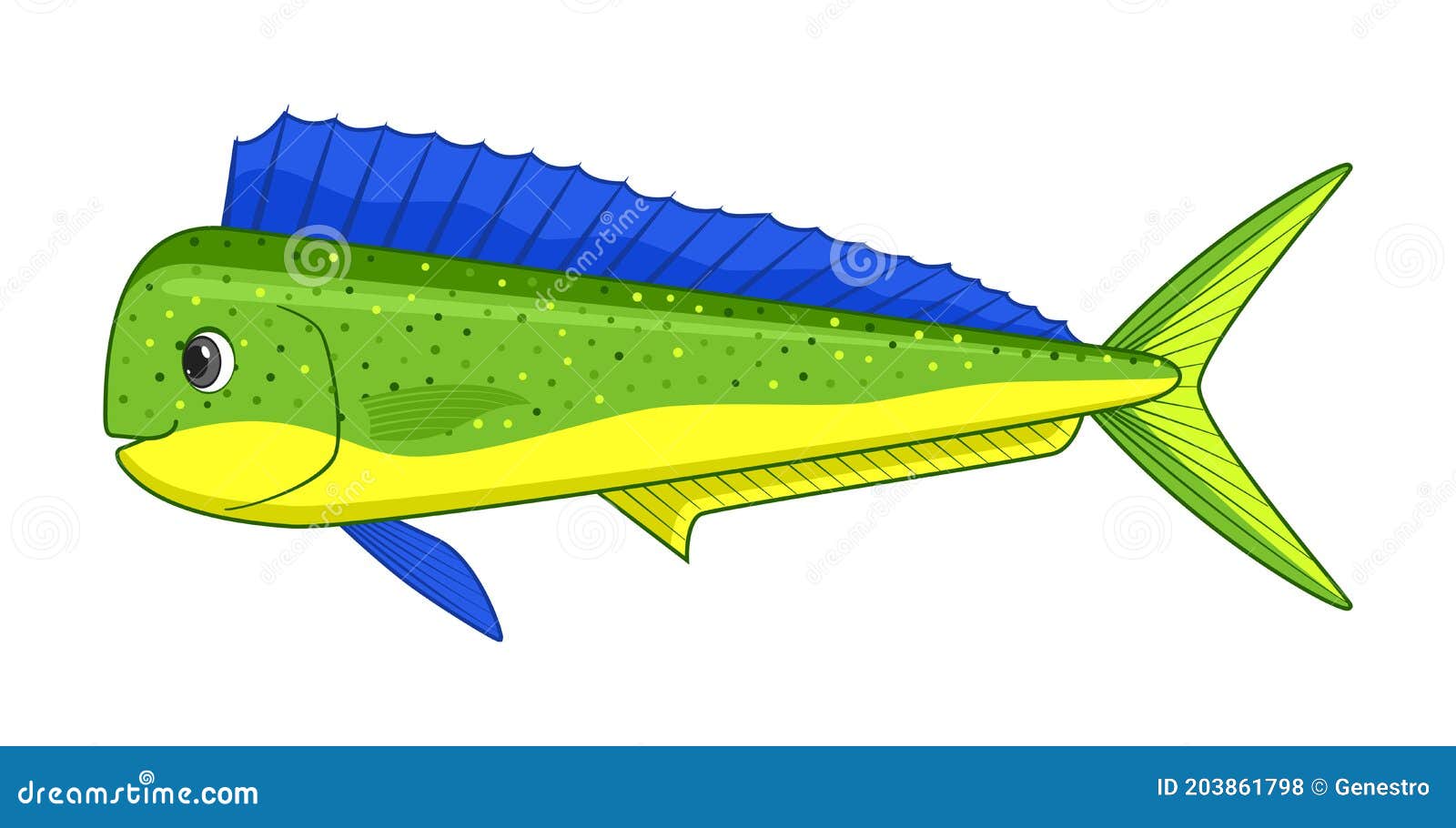 Mahi Mahi Fish on a White Background Stock Vector - Illustration of ...