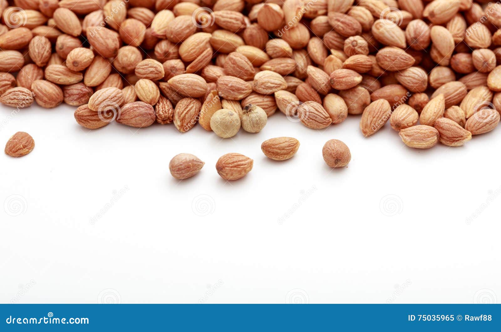 Mahleb Or Mahlab Is An Aromatic Spice Made From The Seeds Of A Species ...