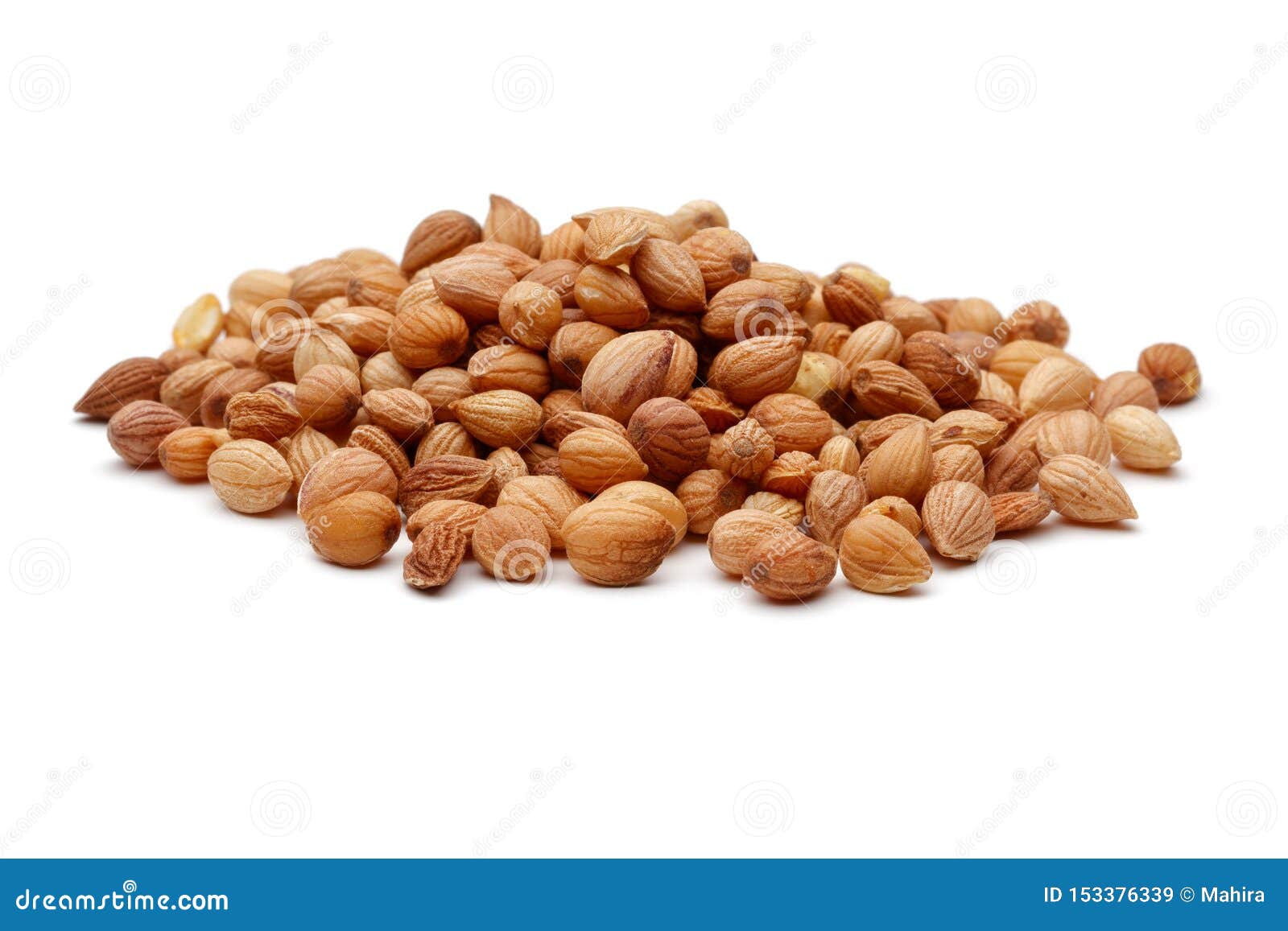 Mahlep or Mahaleb Seeds Isolated Stock Image - Image of prunus ...