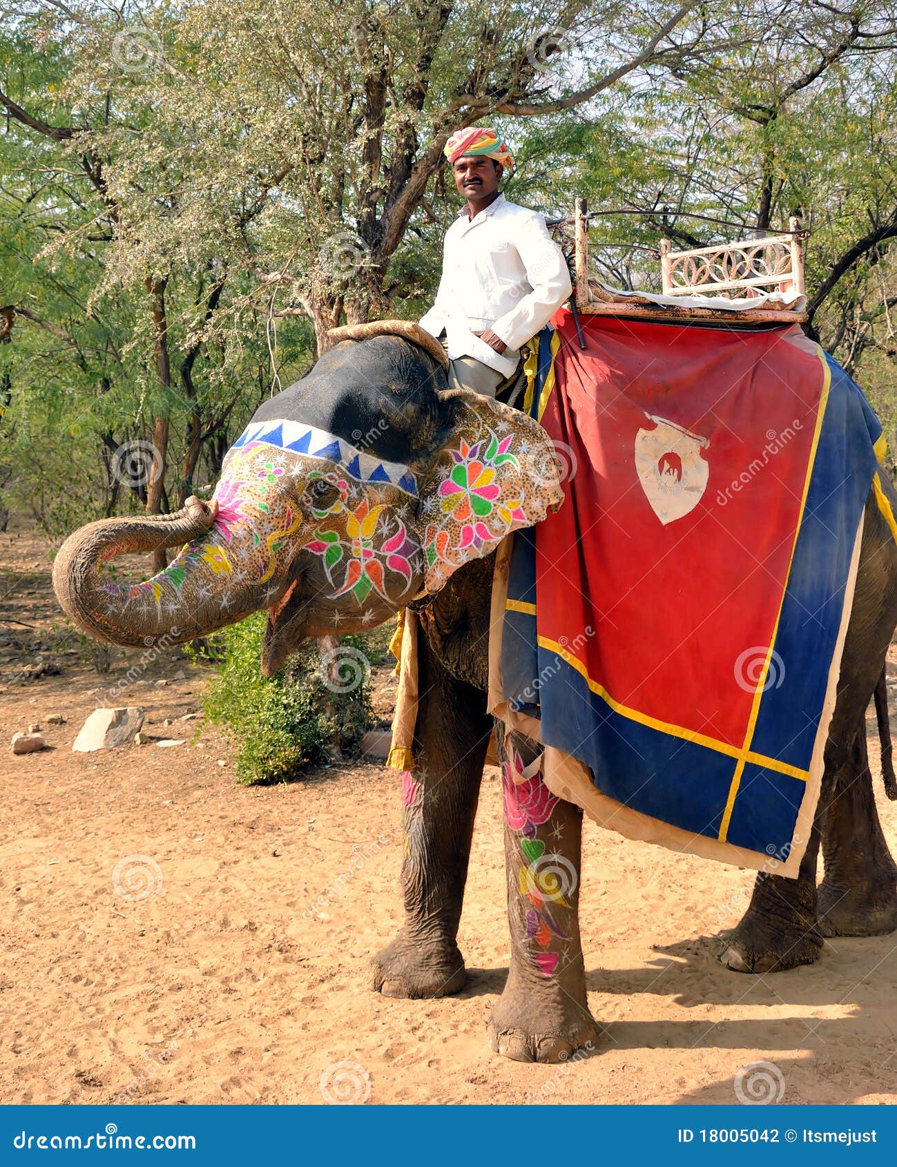 Mahout with his elephant editorial photography. Image of mahavat - 18005042