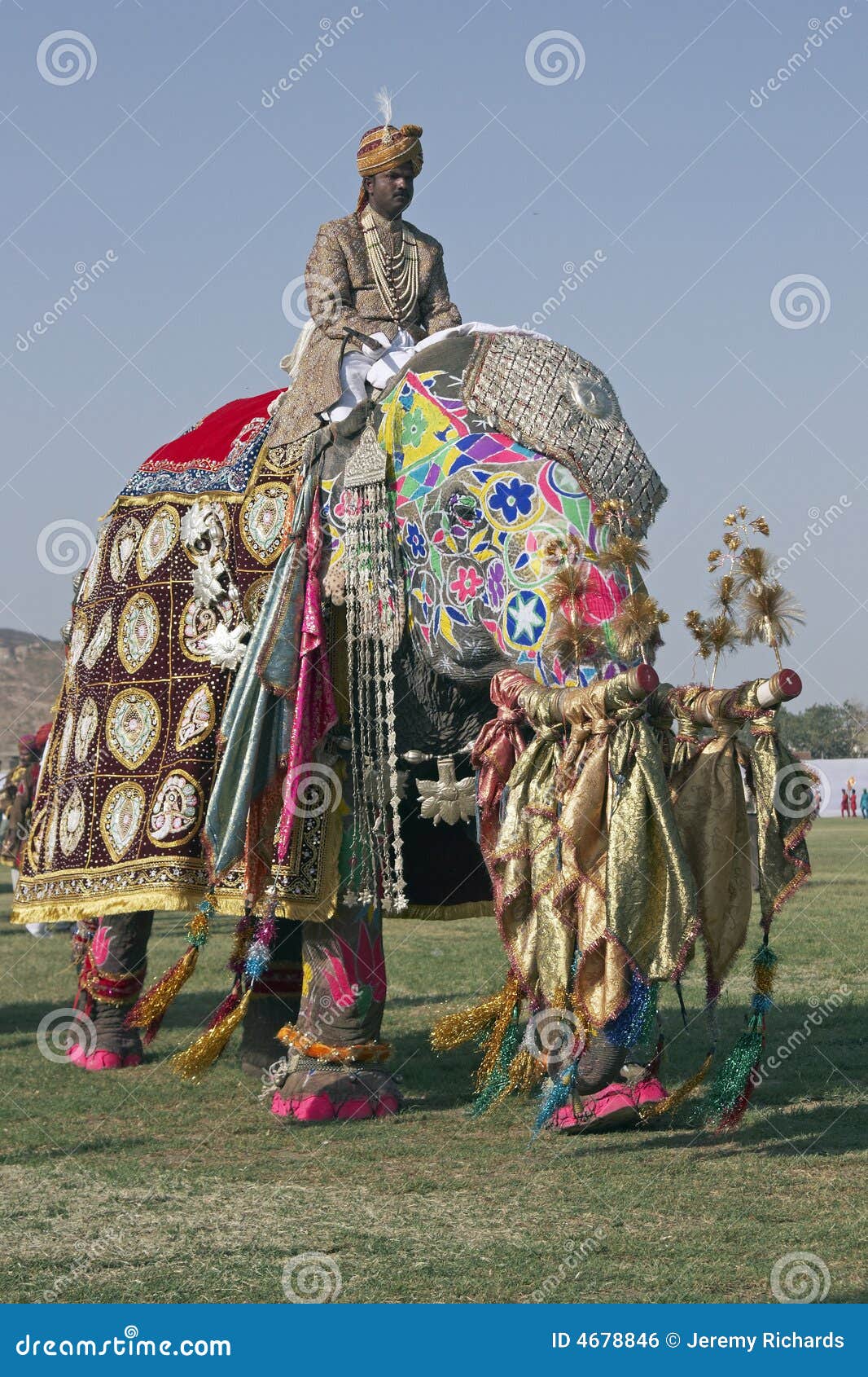 Mahout Riding a Decorated Elephant Editorial Photo - Image of indian ...