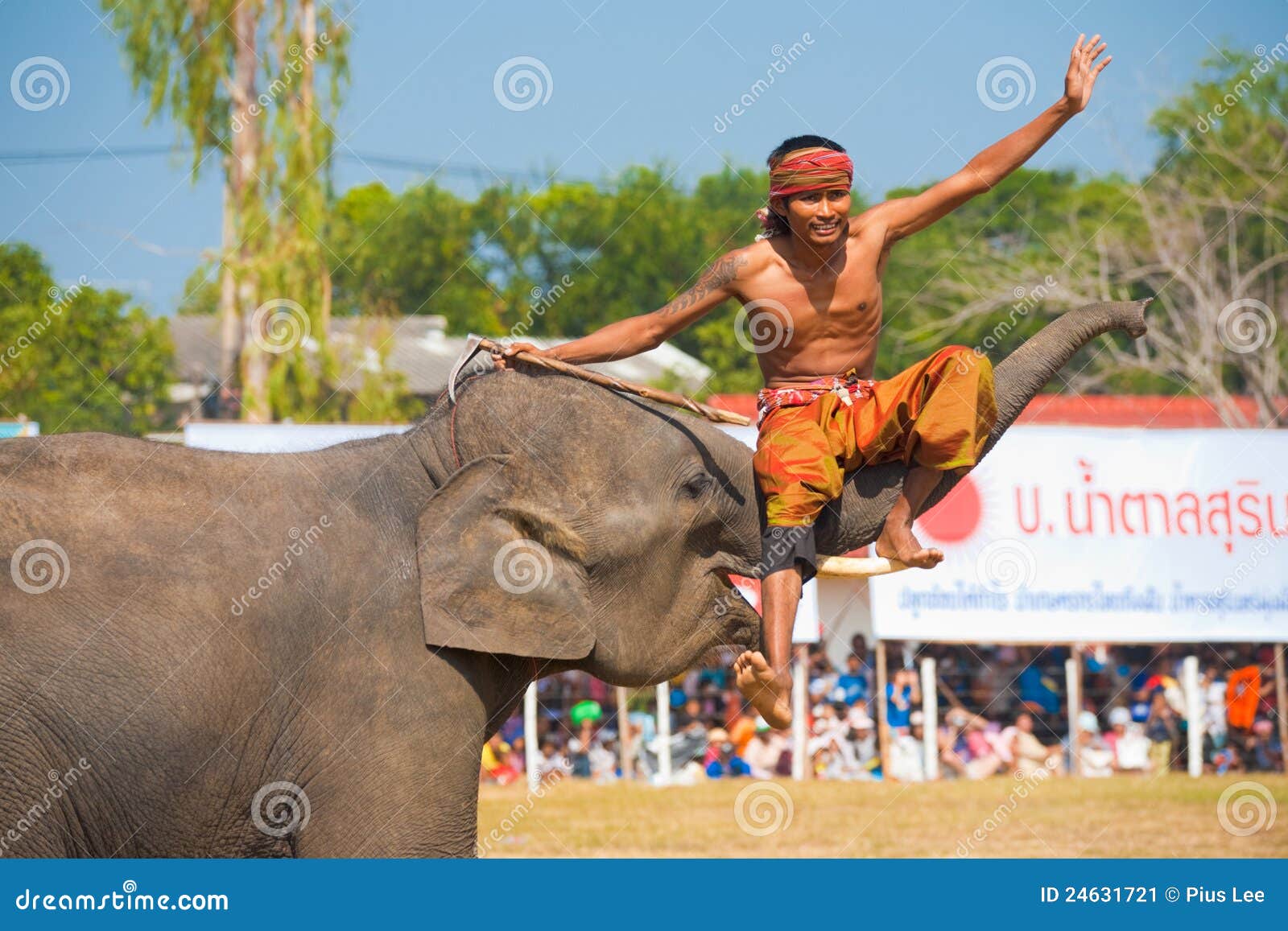 Mahout Sitting Elephant Trunk Surin Editorial Photo - Image of mahout ...