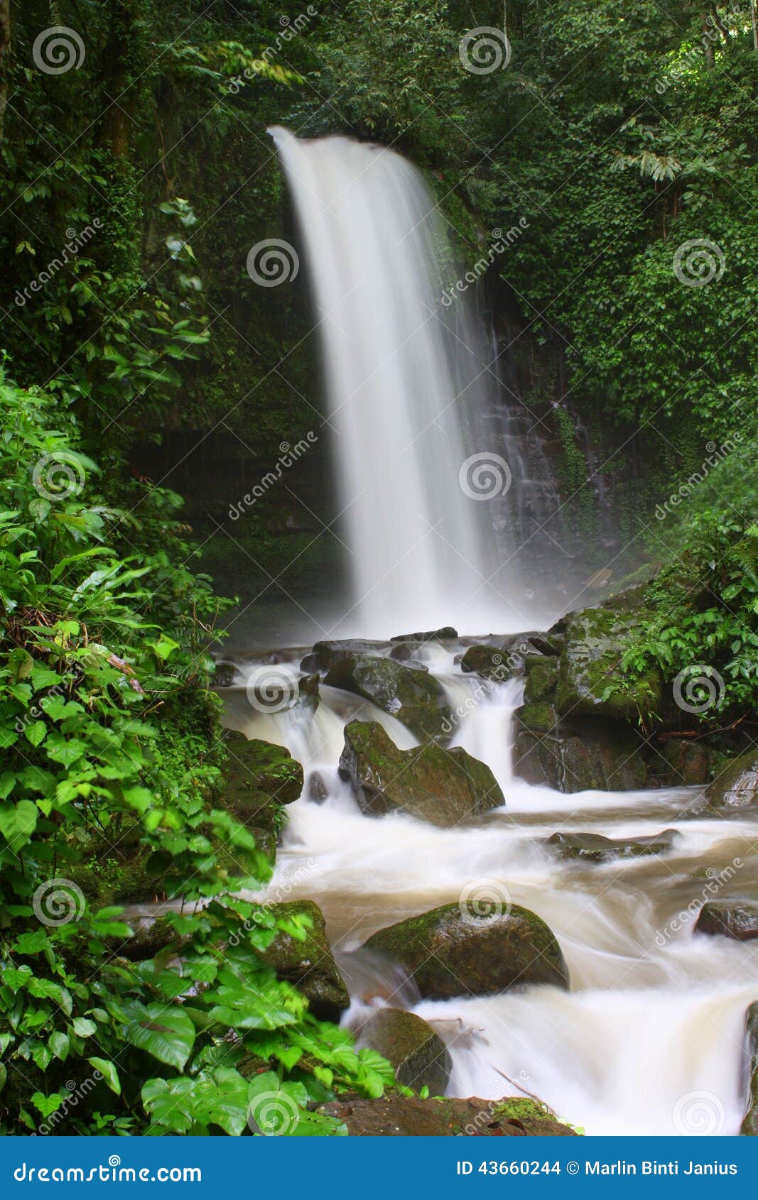 Mahua Waterfall, Tambunan Sabah Stock Photo - Image of cascade ...