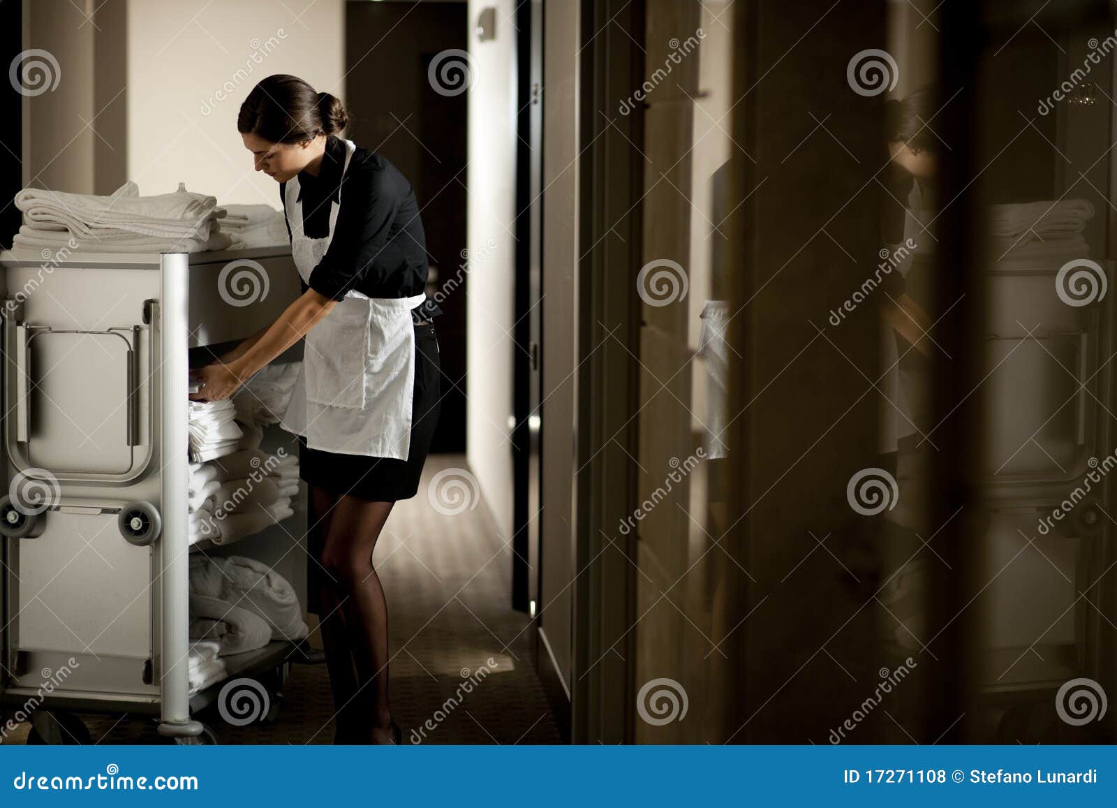 Maid at Work stock photo. Image of trolley, young, holding - 17271108