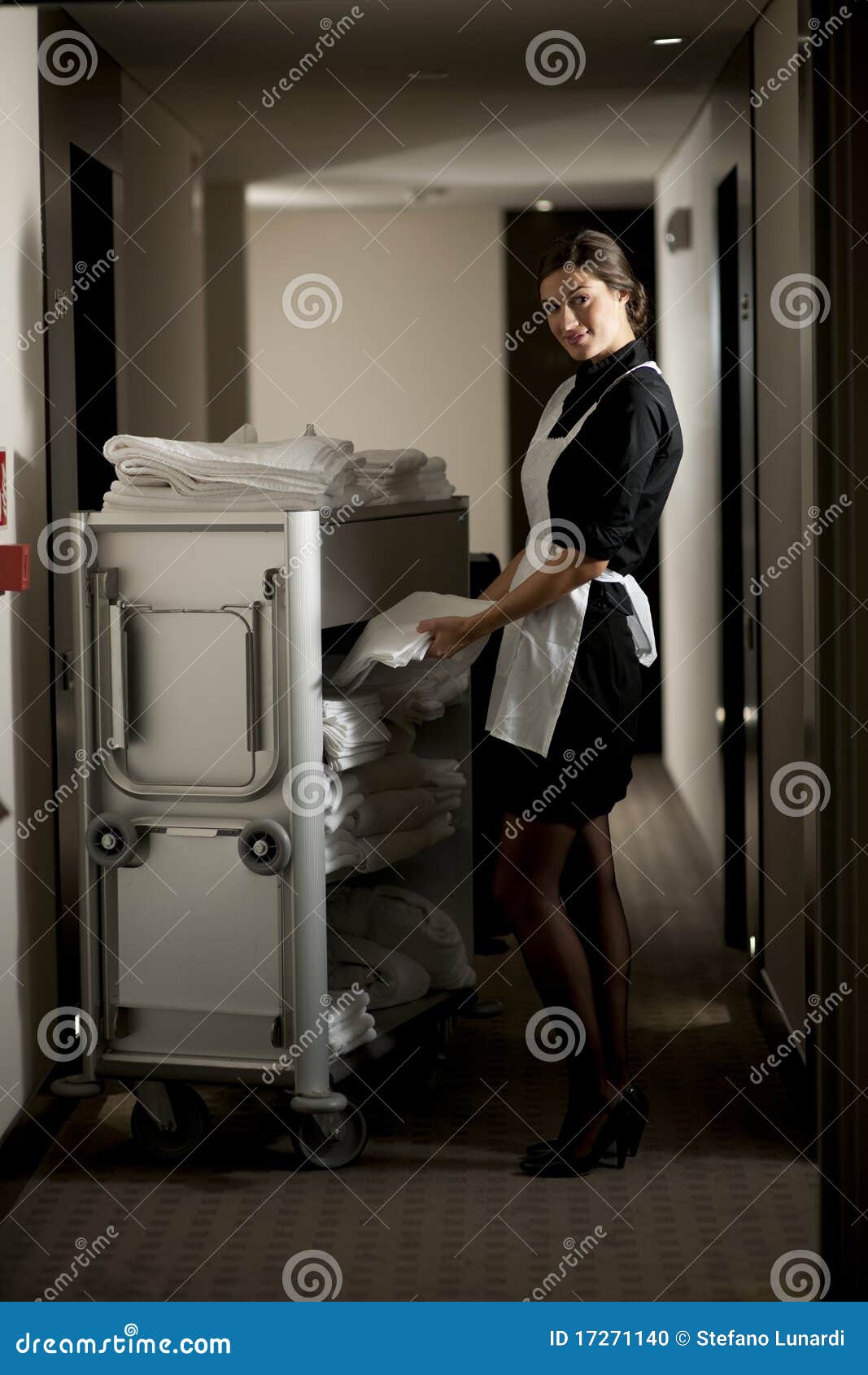 Maid At Work stock photo. Image of housekeeping, uniform - 17271140