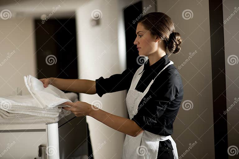 Maid at Work stock photo. Image of housekeeping, manual - 17271178