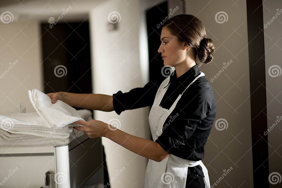 Maid at Work stock photo. Image of housekeeping, manual - 17271178