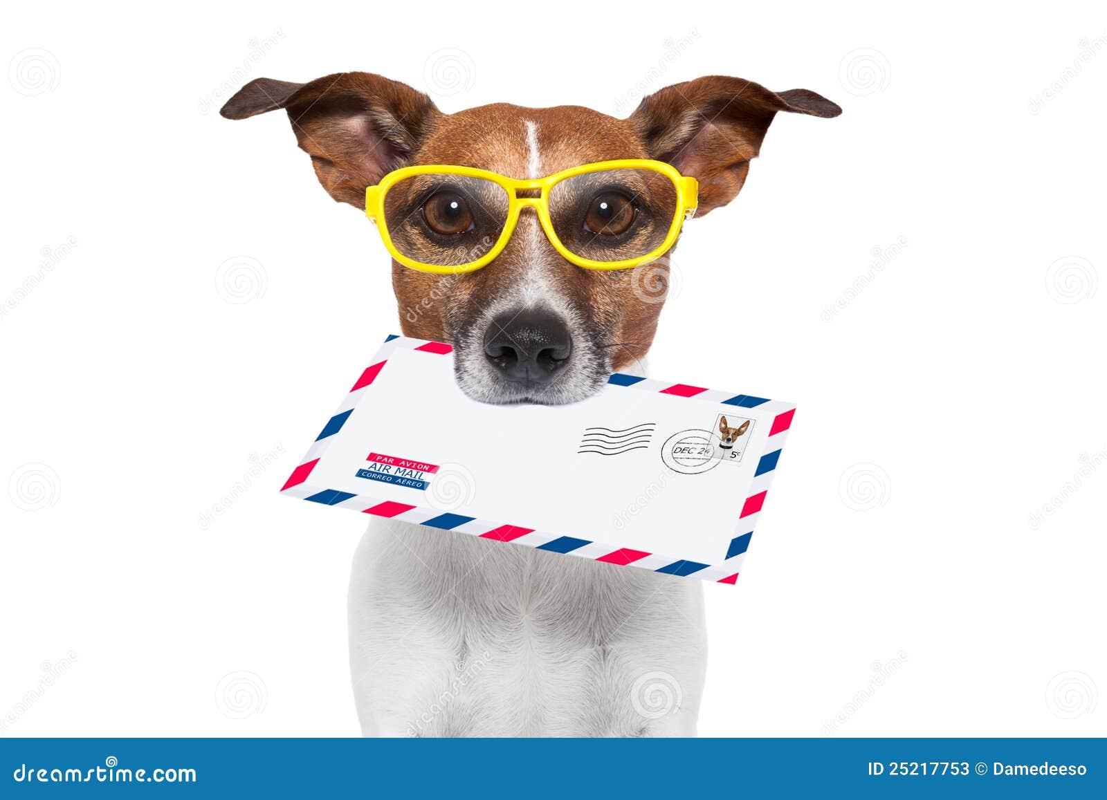 Mail dog stock image. Image of jack, office, letter, mail - 25217753