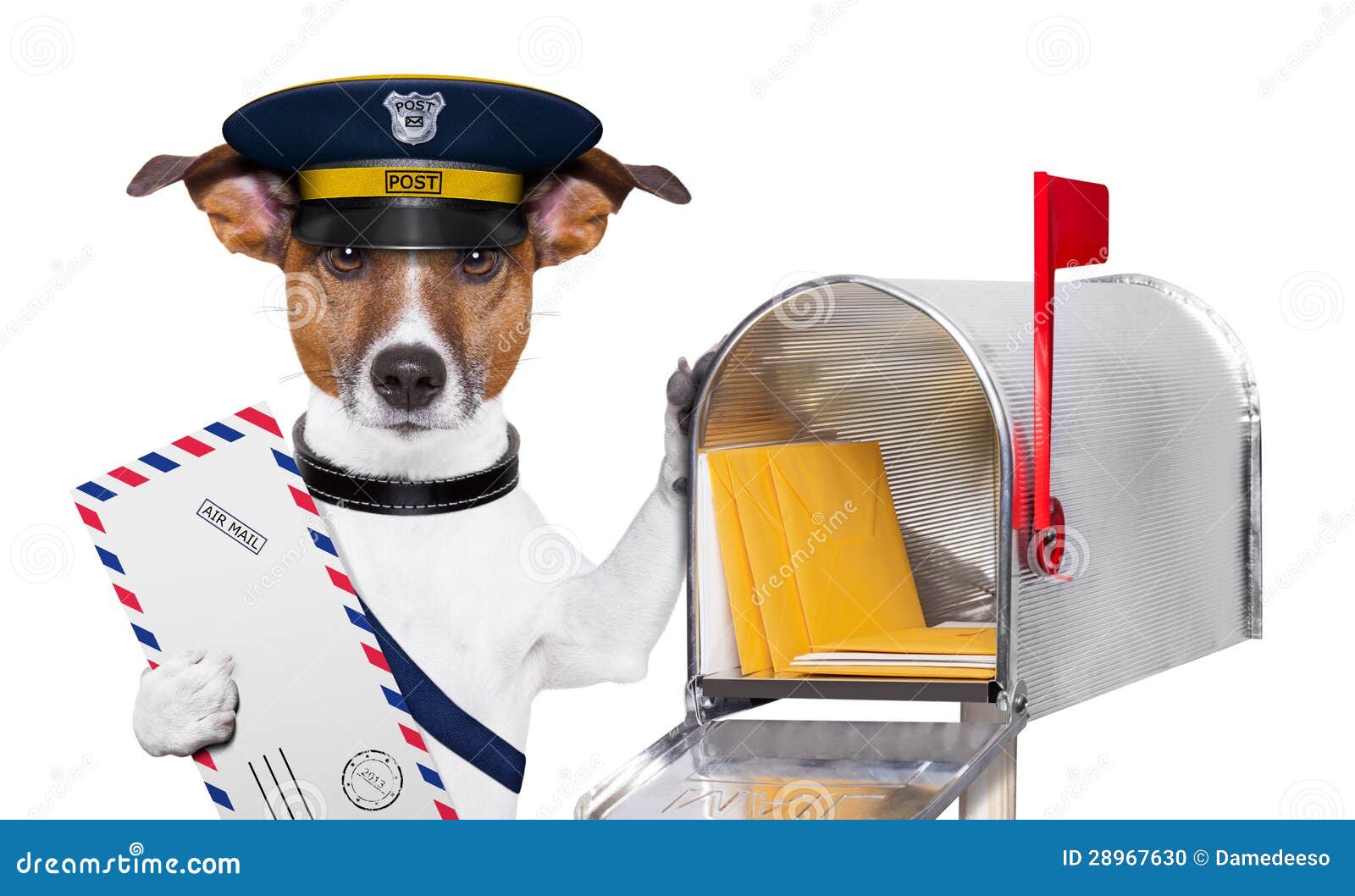 Mail dog stock photo. Image of jack, email, letter, doggy - 28967630