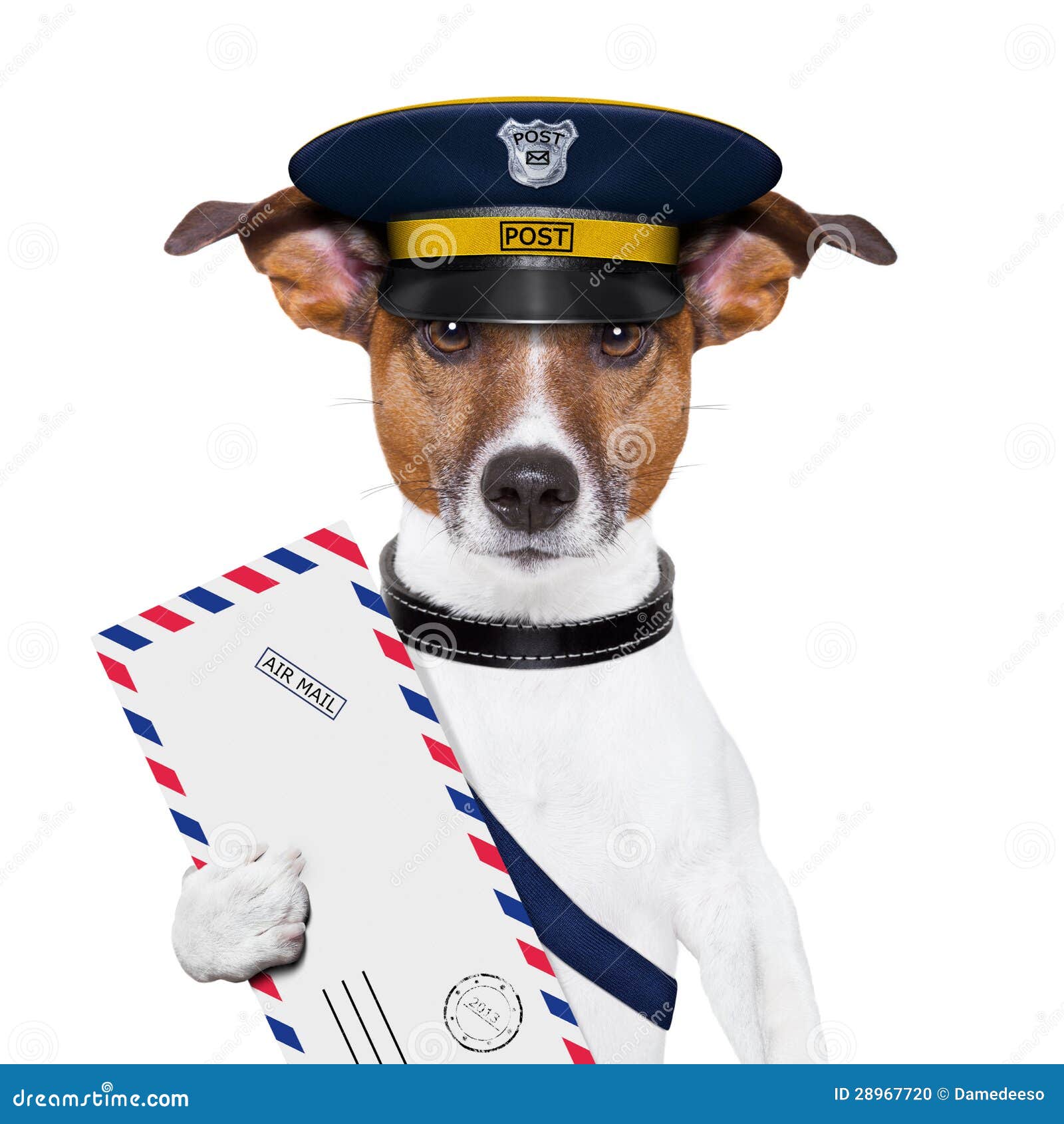 Mail dog stock photo. Image of isolated, cargo, doggy - 28967720