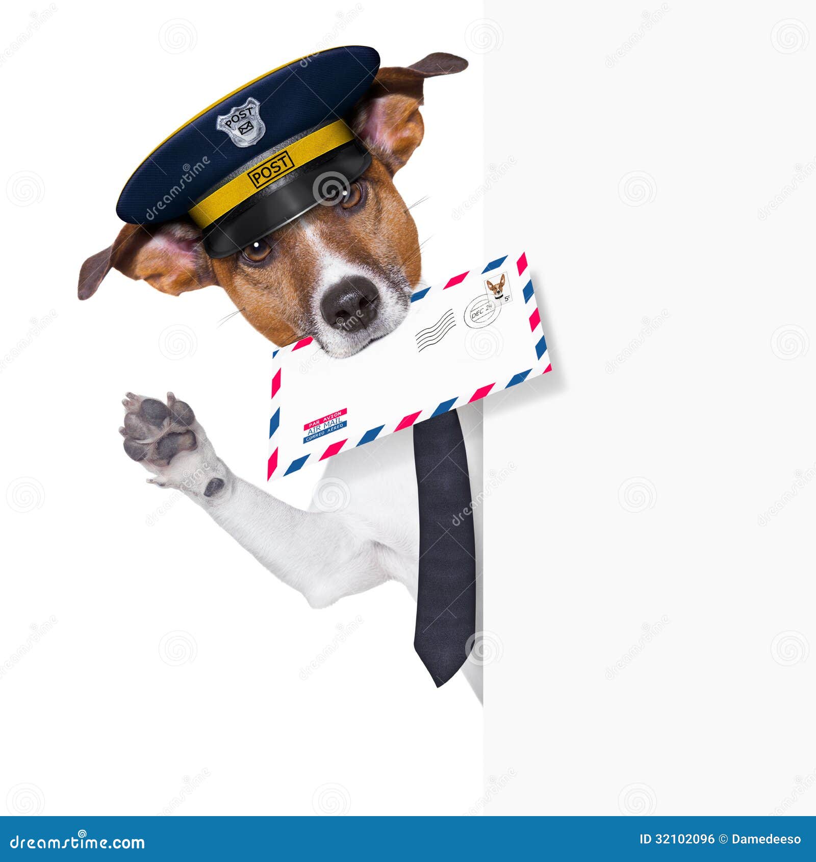 Mail dog stock photo. Image of animal, gift, humor, letter - 32102096