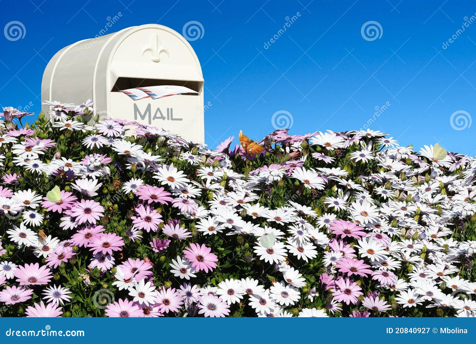 Mailbox with Flowers stock image. Image of color, envelope - 20840927