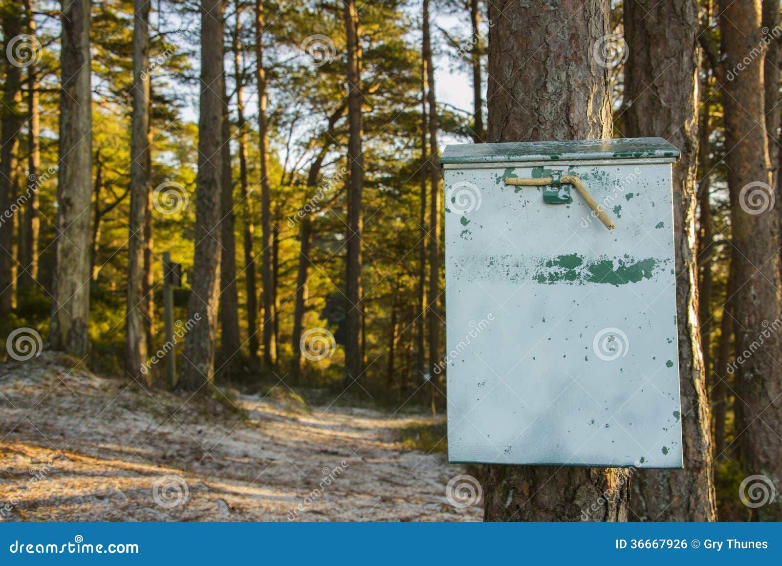 Mailbox in the forest stock photo. Image of nature, post - 36667926