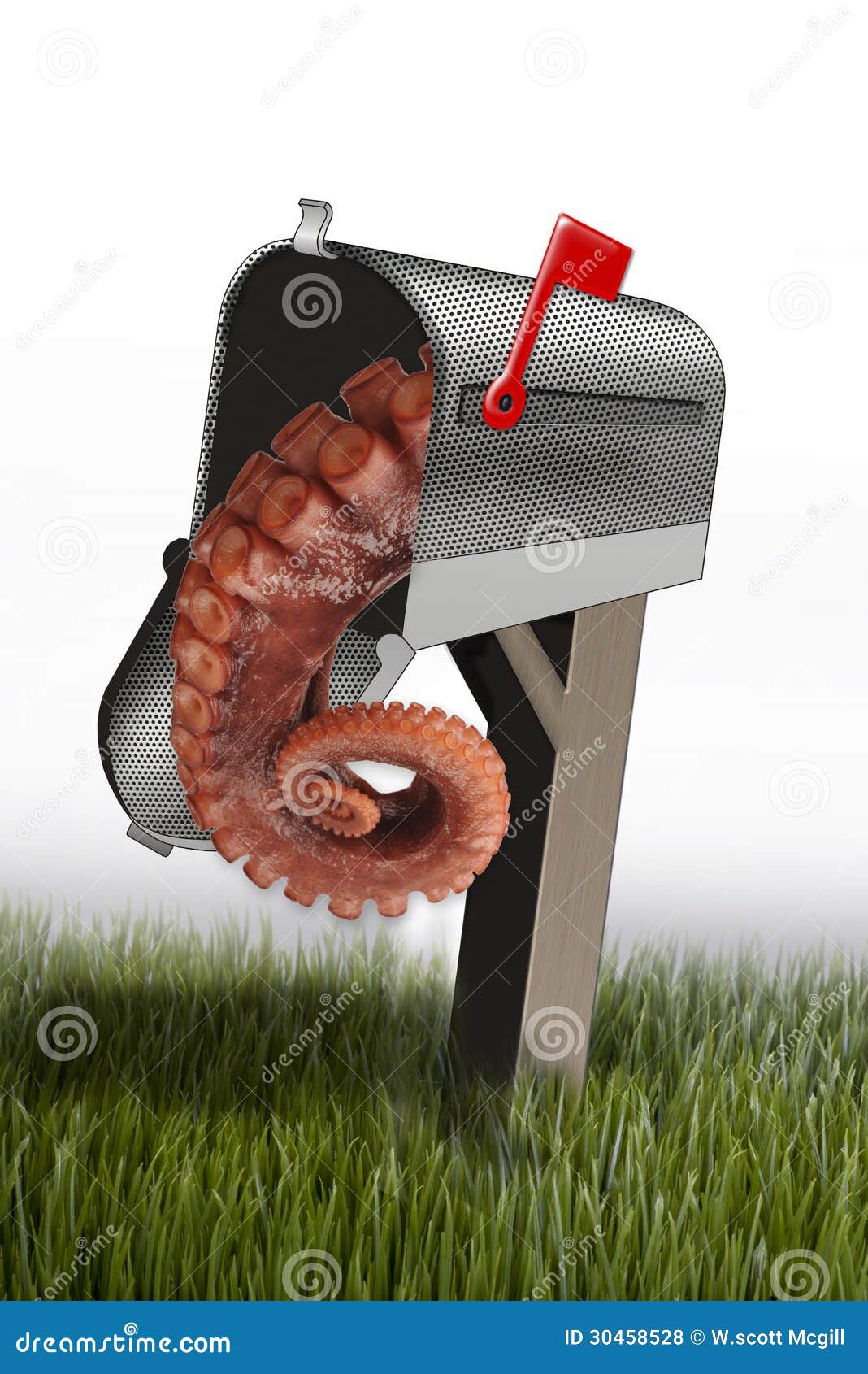 Mailbox stock photo. Image of deliver, ship, creature - 30458528