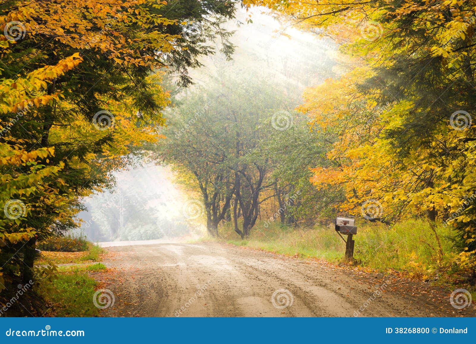 Country Dirt Road In The Fall