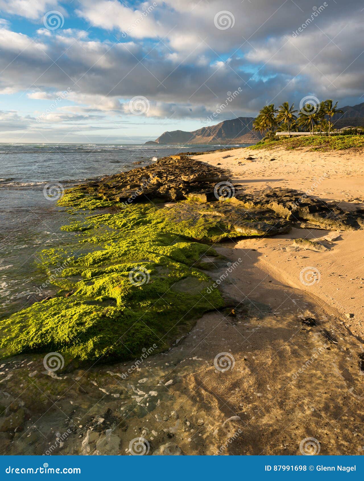 Maili Beach stock photo. Image of beach, vertical, oahu - 87991698