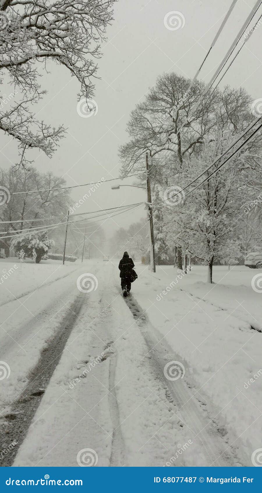 Mailman stock image. Image of working, cold, winter, mailman - 68077487