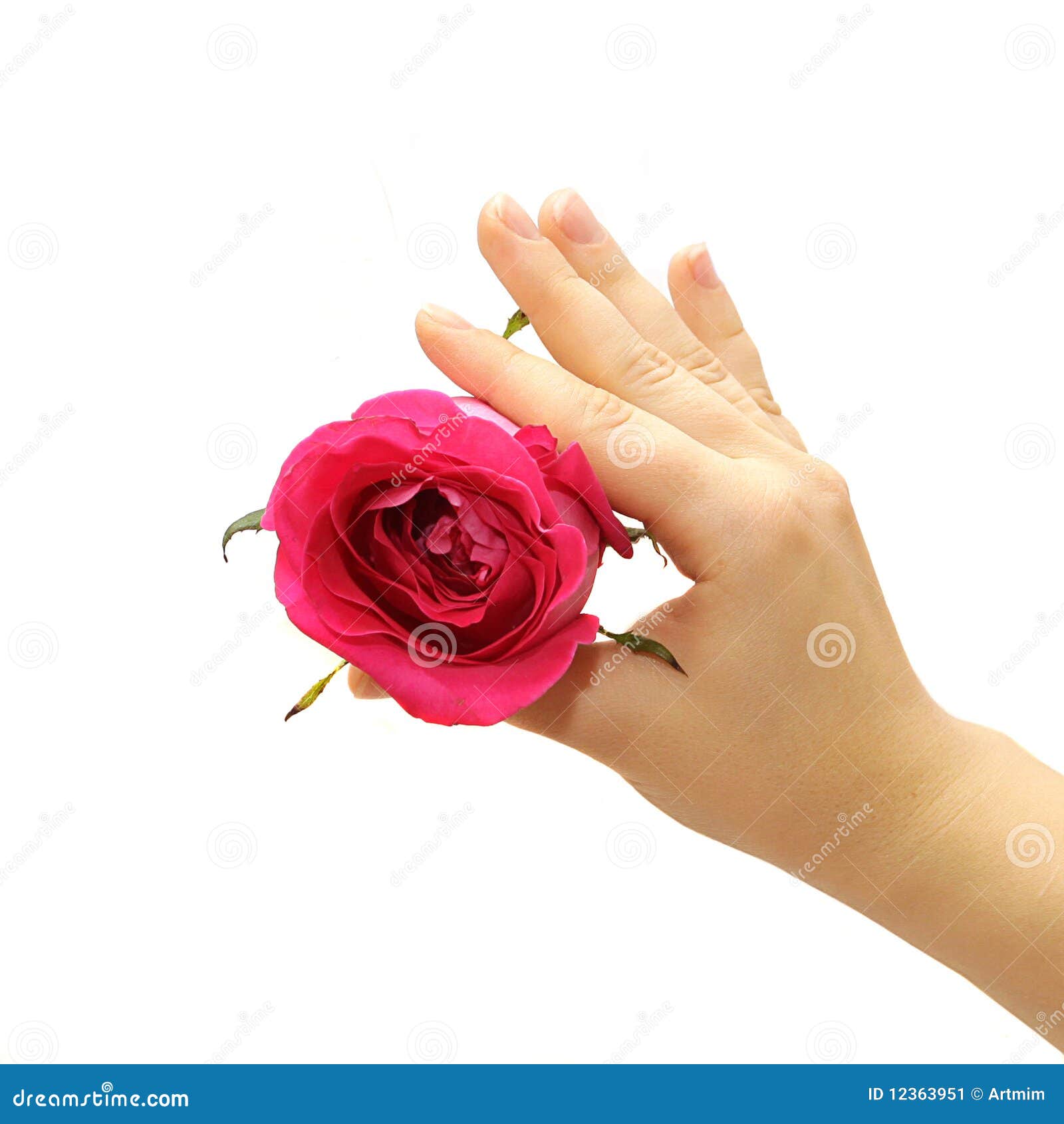 Main avec la fleur image stock. Image du accessoires - 12363951