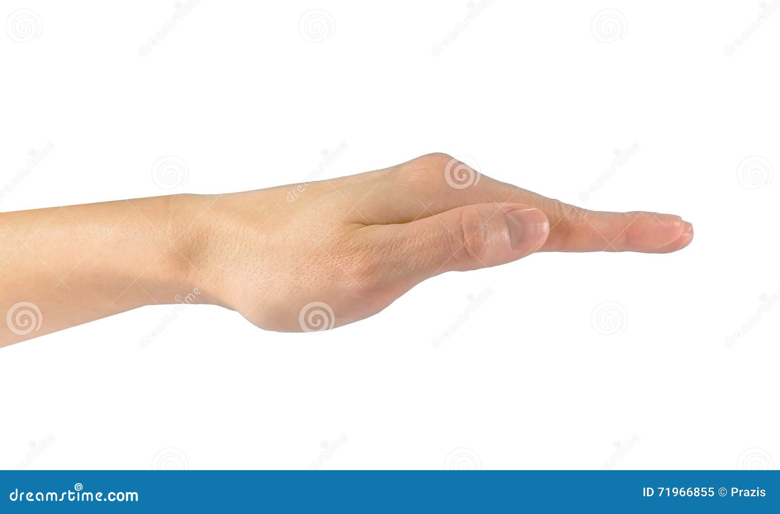 Main Avec La Paume Ouverte Vers Le Bas Image stock - Image du main ...