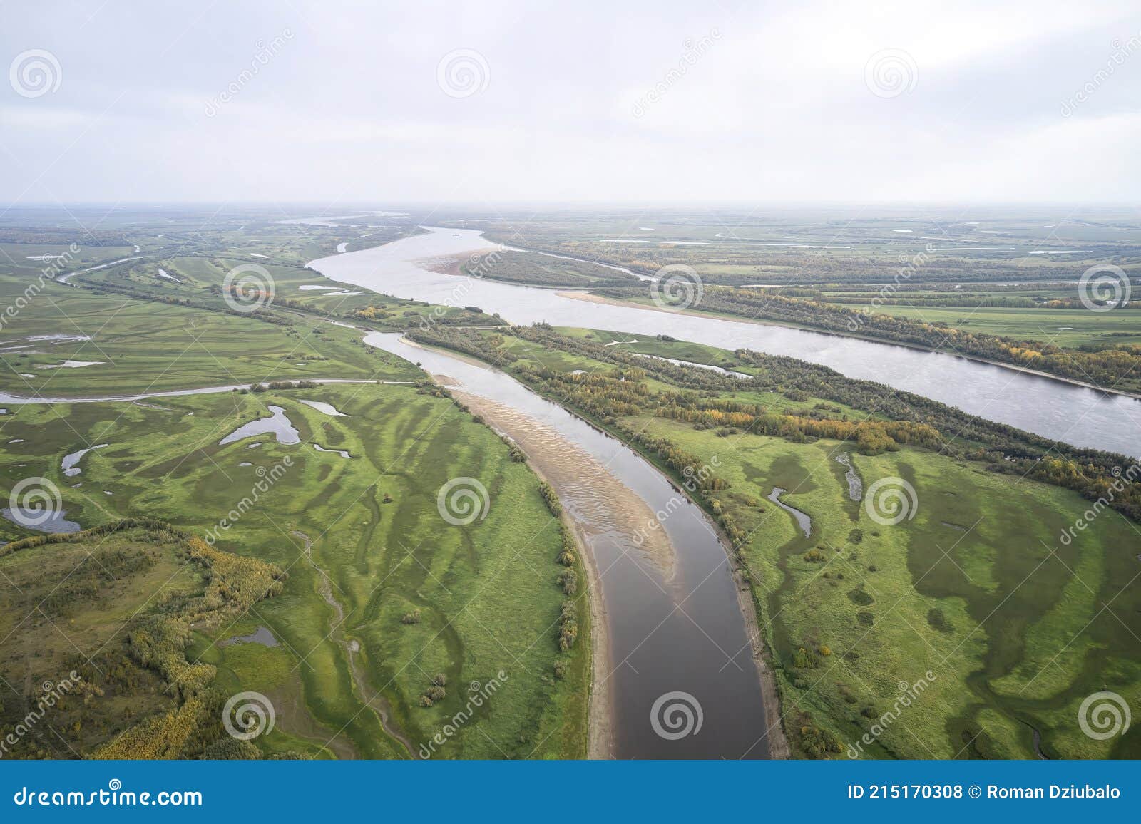 The Main Channel and Meander of the River. Swampy Floodplain Stock ...