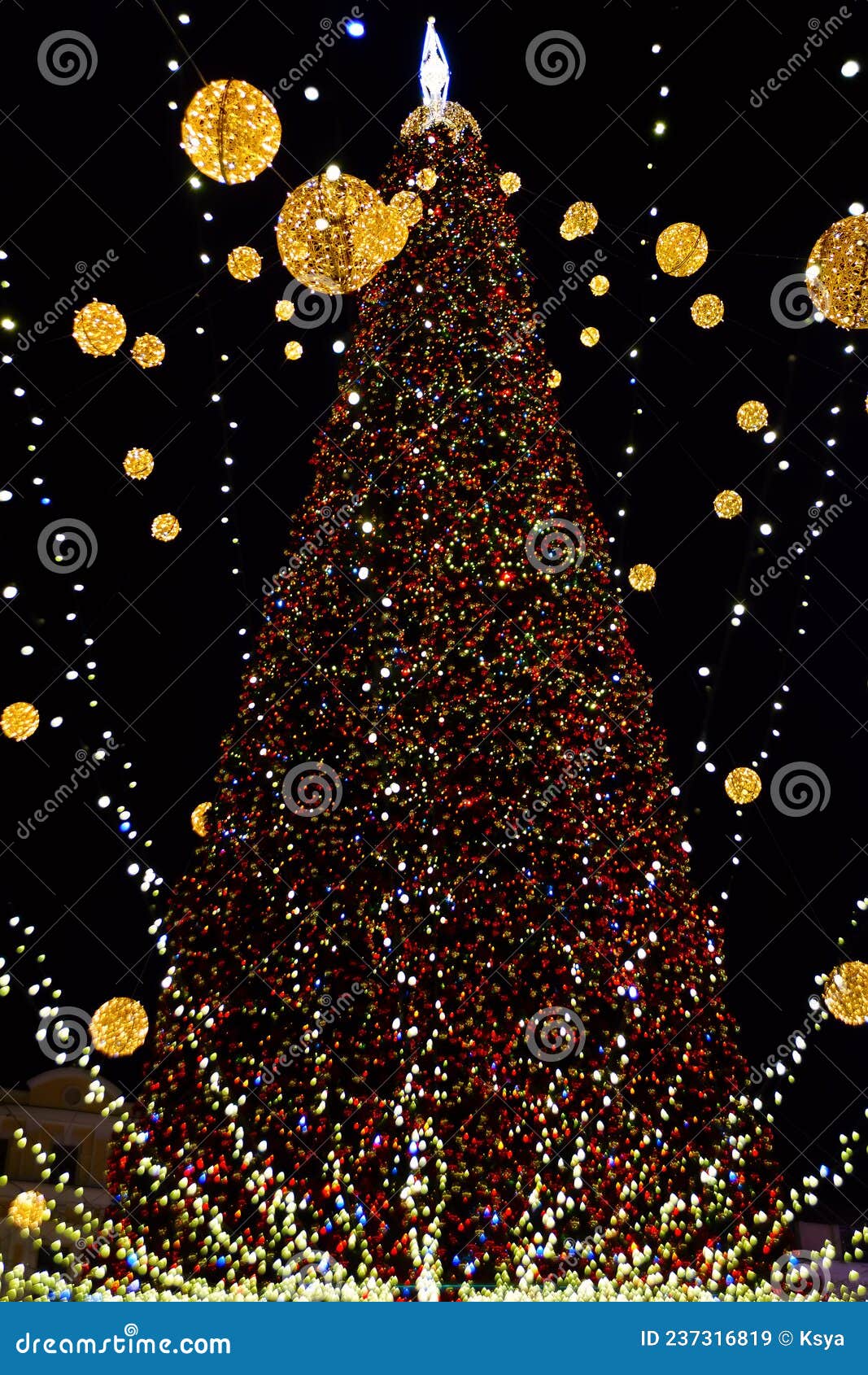 Main Christmas Tree of Ukraine Lit Up in Kyiv Ukraine Stock Image ...