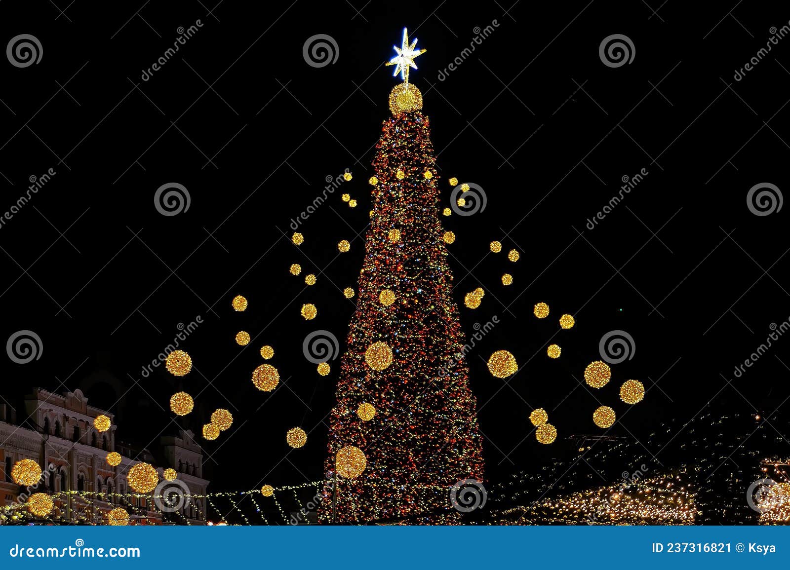 Main Christmas Tree of Ukraine Lit Up in Kyiv Ukraine Stock Image ...