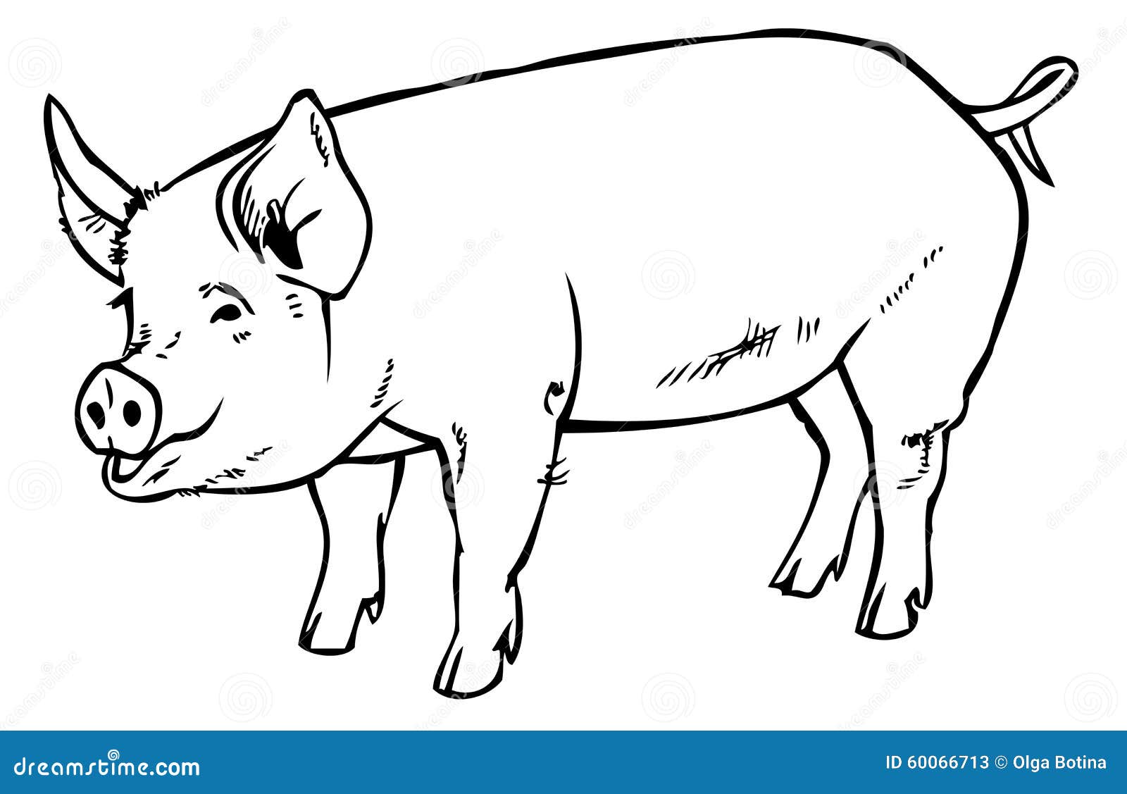 Main de dessin de porc illustration de vecteur. Illustration du animal ...