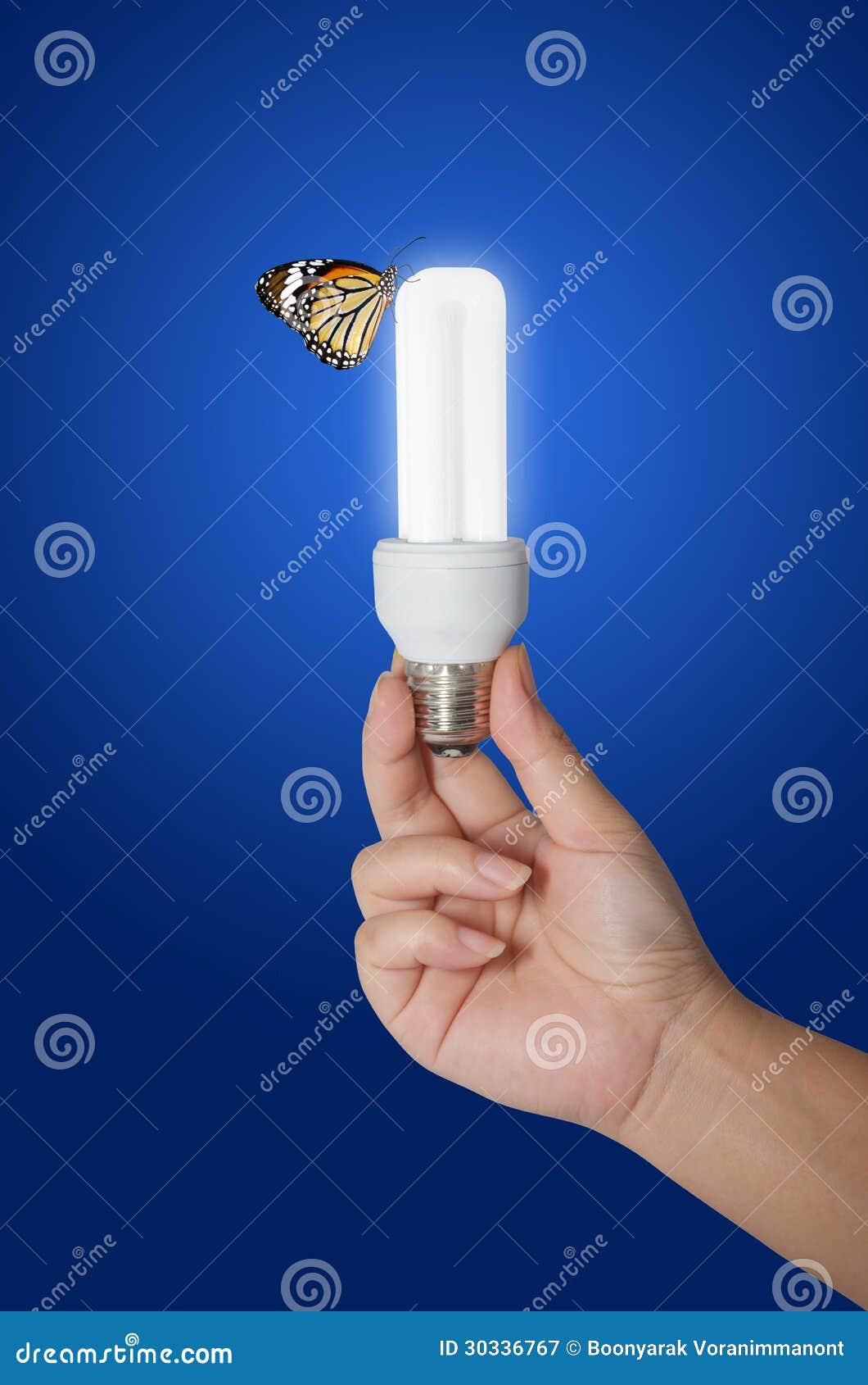 Main De Femme Tenant L'ampoule Image stock - Image du lumineux, symbole ... Main De Femme Tenant L'ampoule Image stock - Image du lumineux, symbole ...