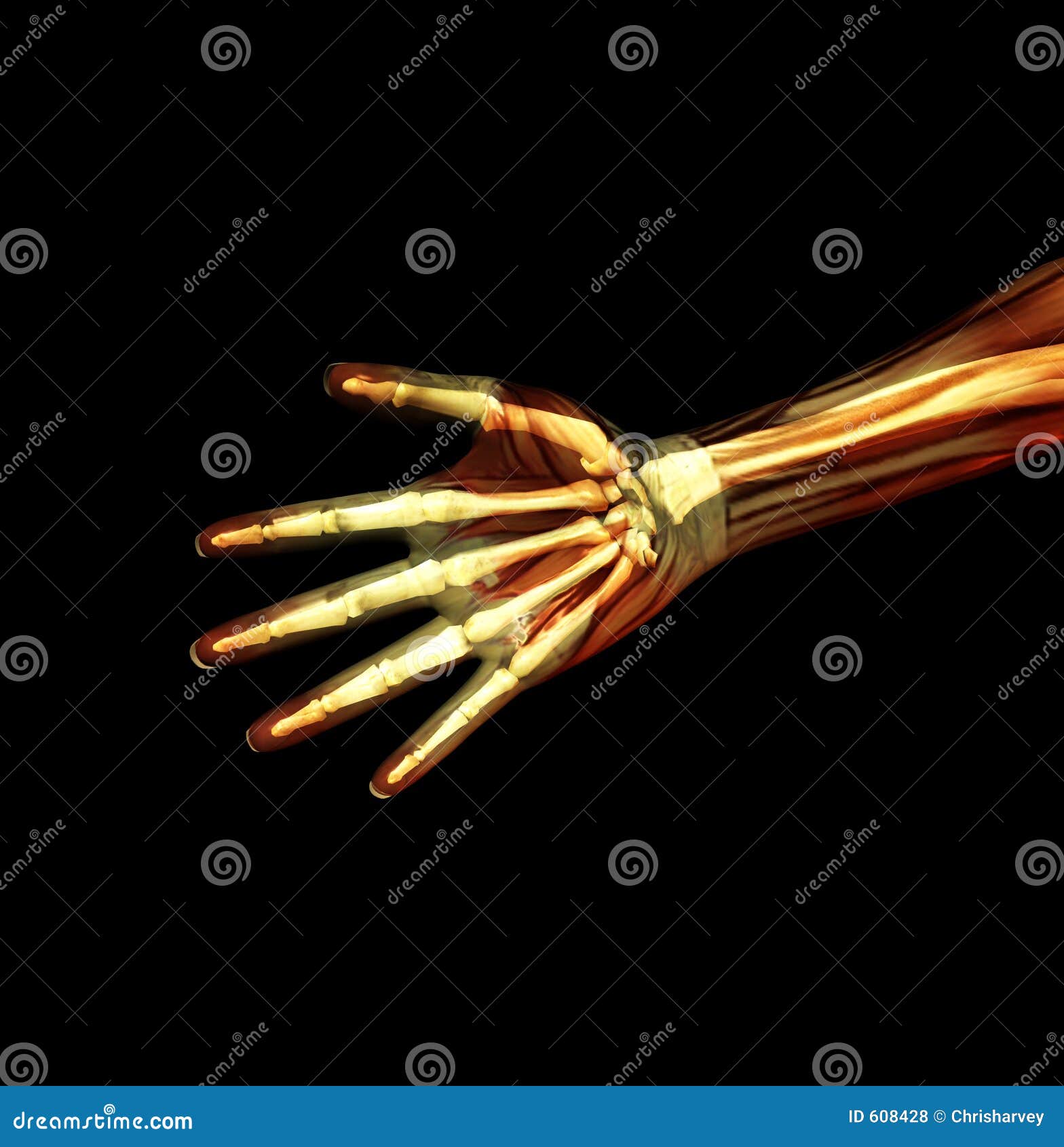 Main de muscle illustration stock. Illustration of humanoïde - 608428