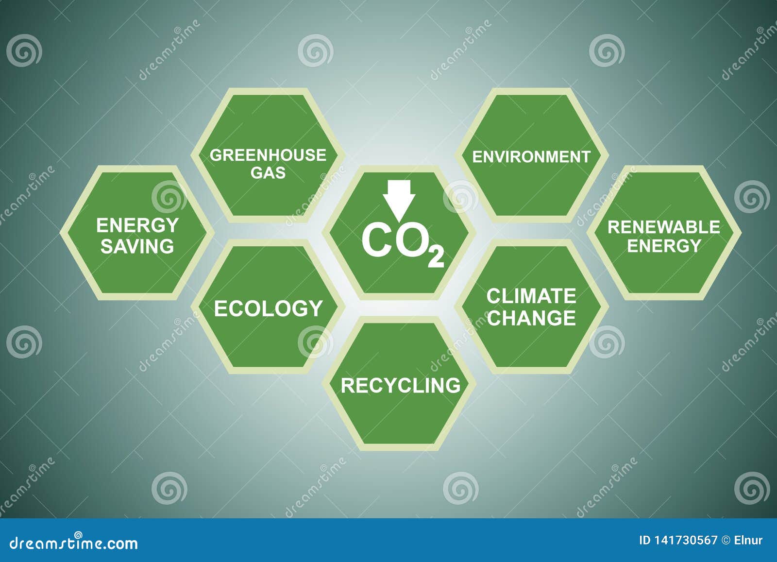 The Main Ecology Concepts Arranged in Matrix Stock Illustration ...