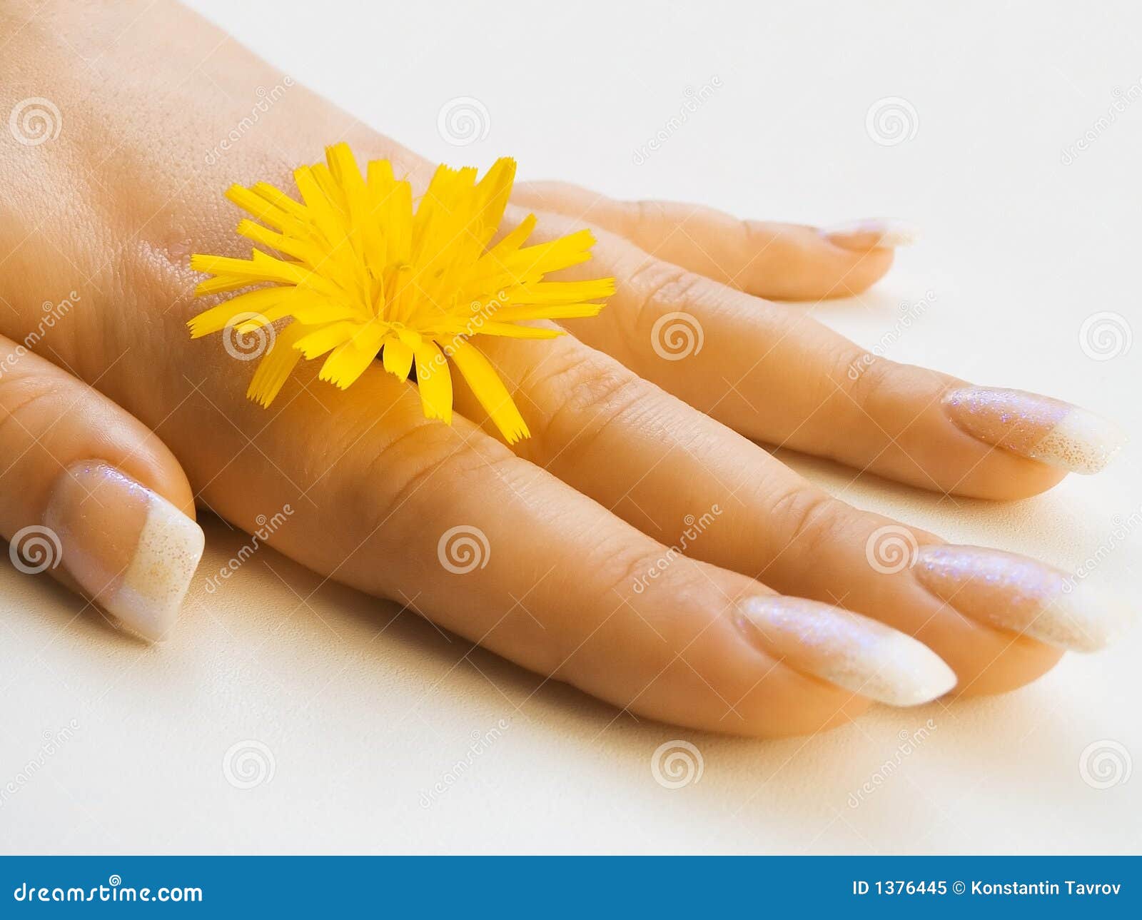 Main et fleur image stock. Image du filles, fermer, normal - 1376445